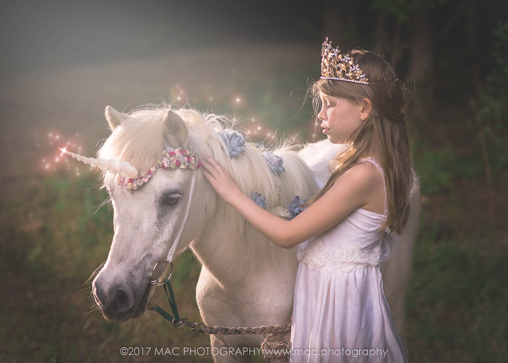 HOME - MAC Photography