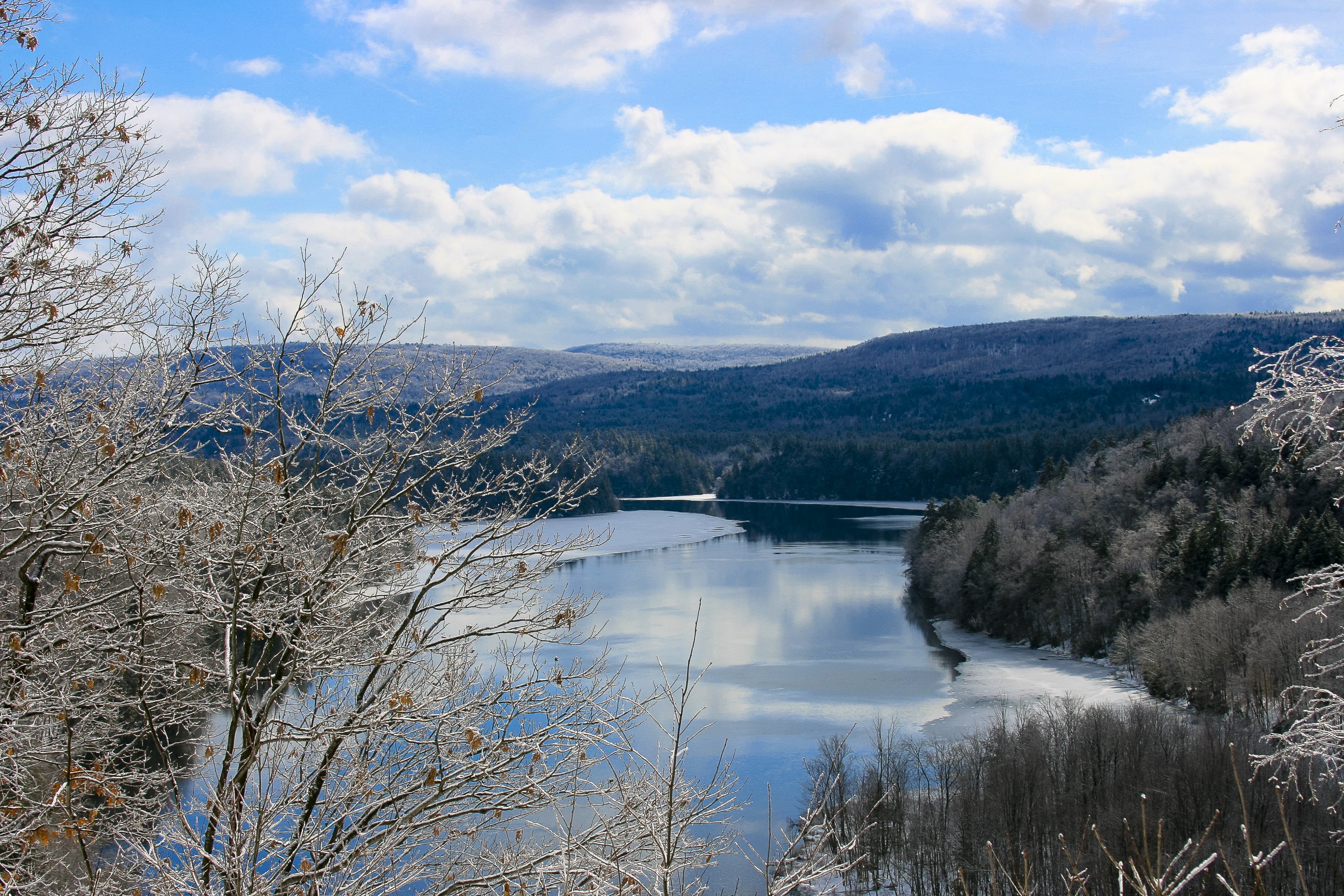 Winter’s Crystal Trees , Northern NY - Kevin Smyth Photography