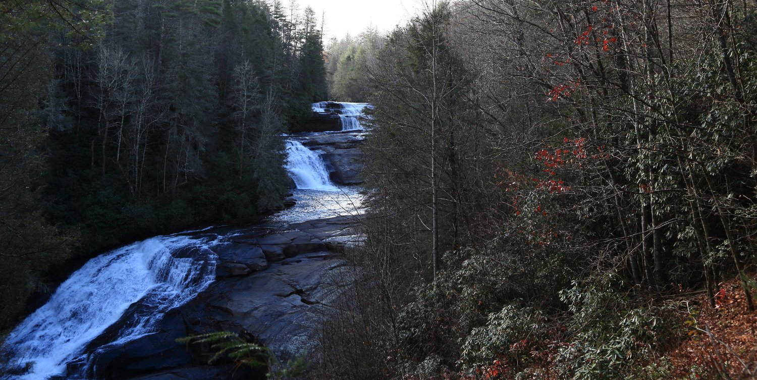 North Carolina Dupont State Park - JRCook Services Group, LLC