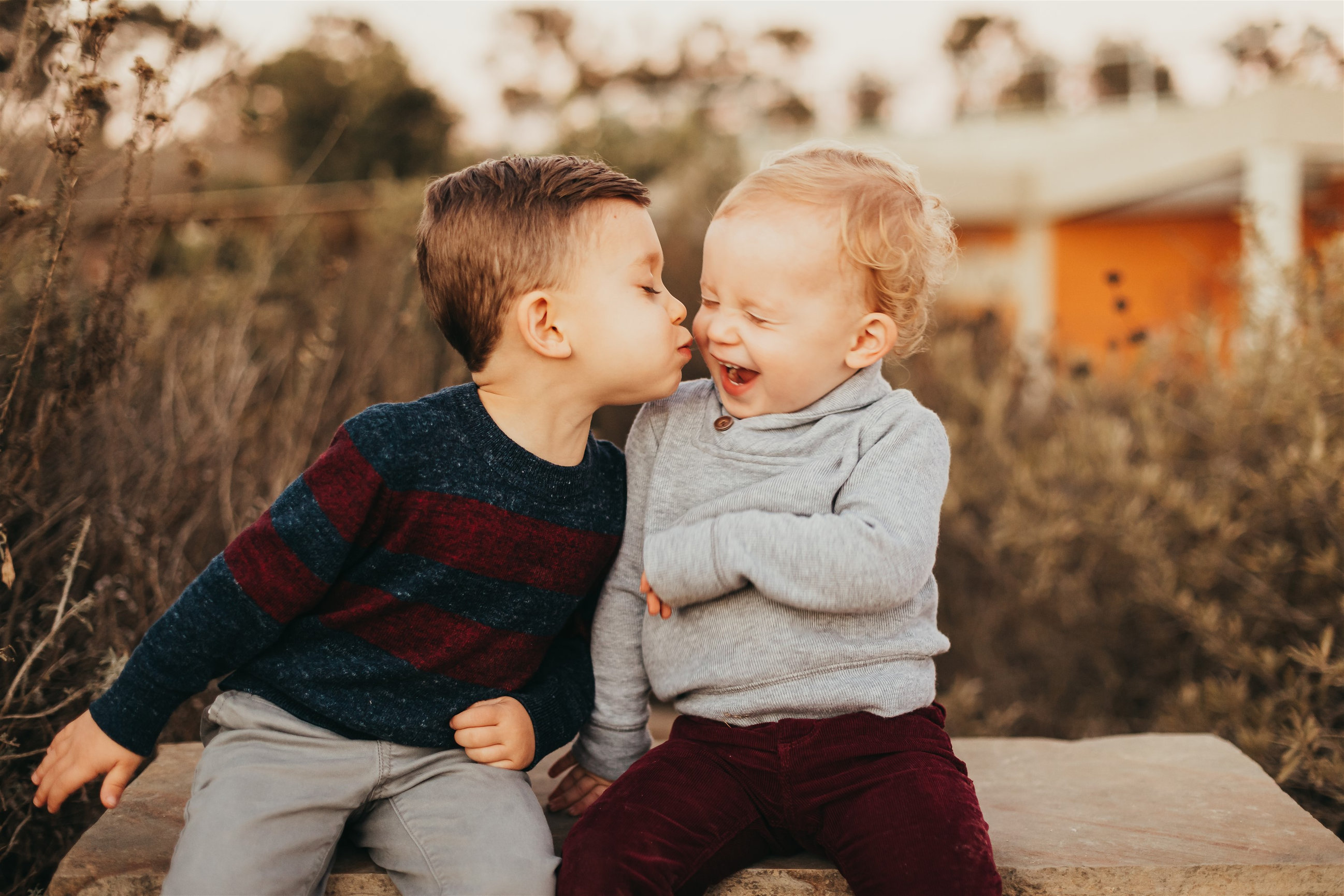 Collective Perception Photography