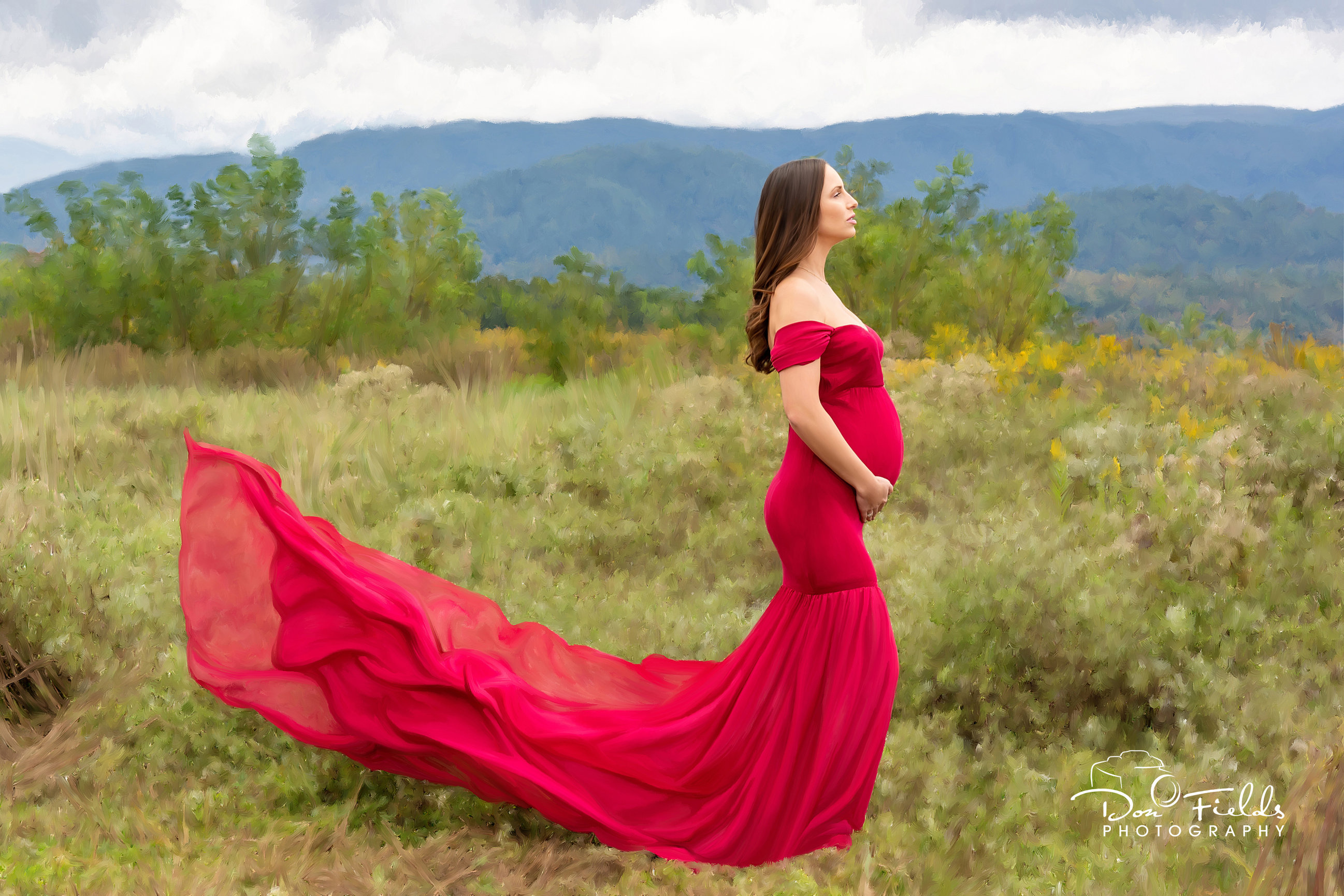 Maternity Painting - Don Fields Photography