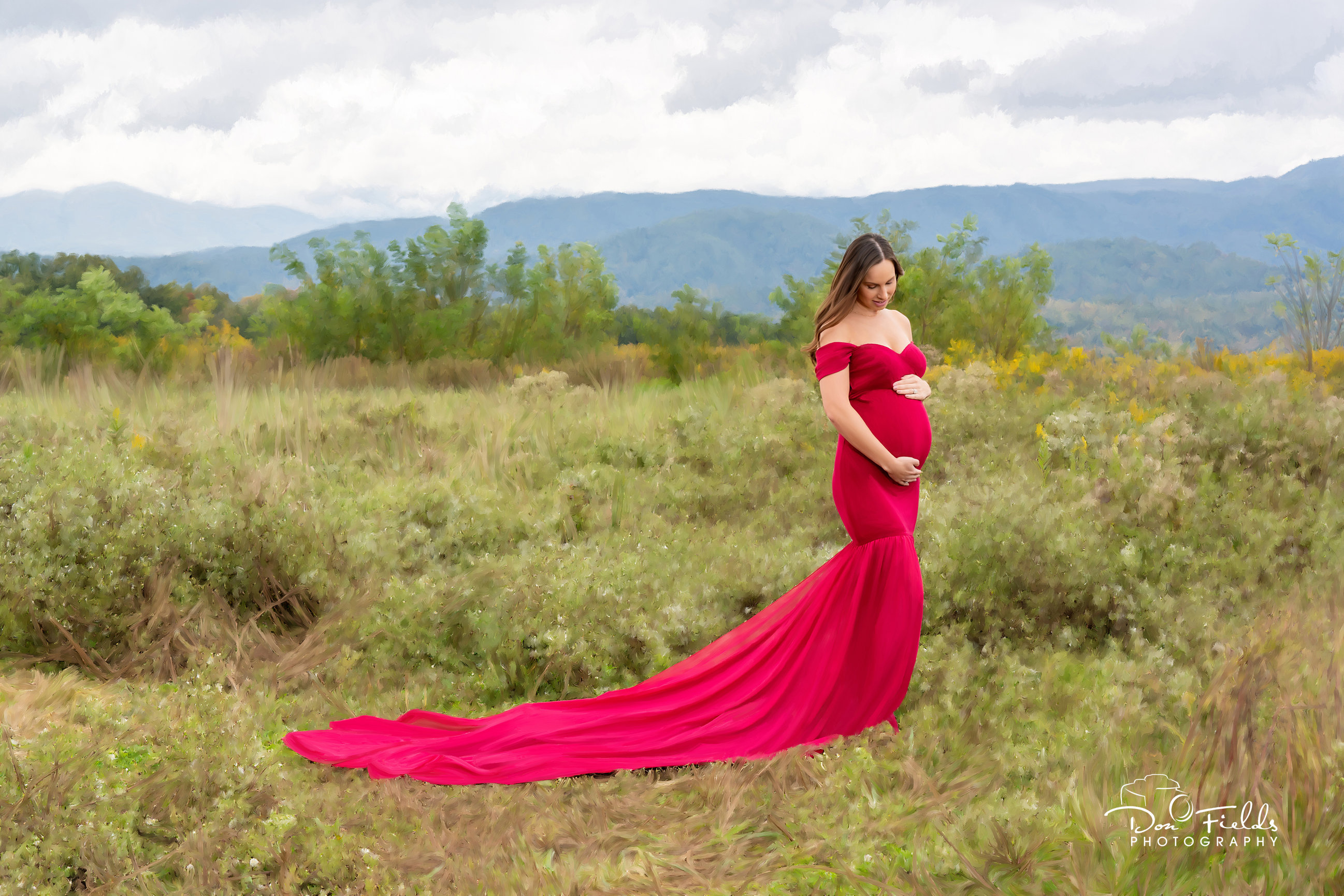 Maternity Painting - Don Fields Photography