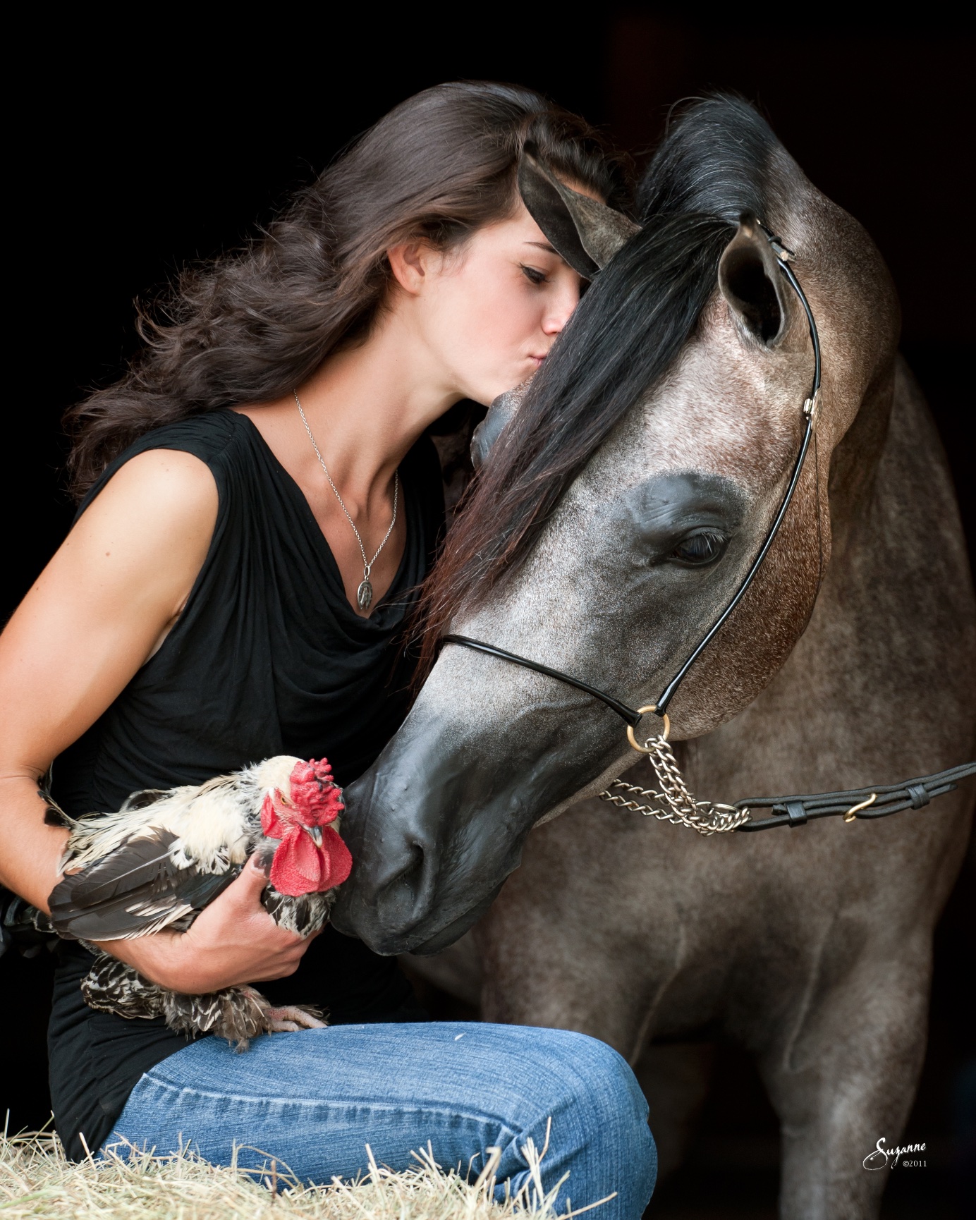 portrait gallery - EQUINE PHOTOGRAPHY by SUZANNE, Inc.