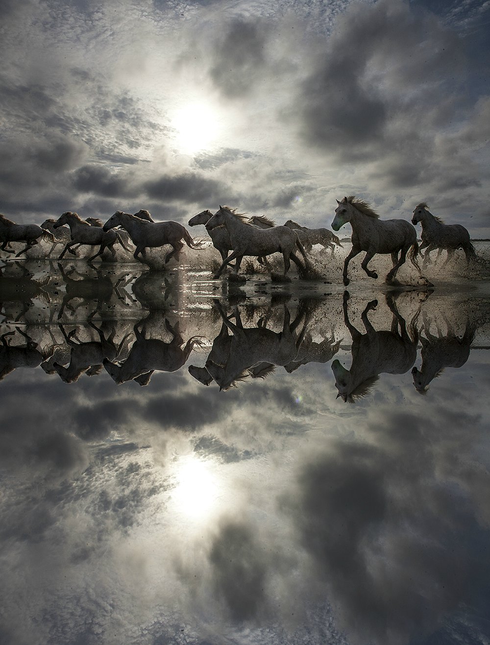 Expansive views - Jim Zuckerman photography & photo tours