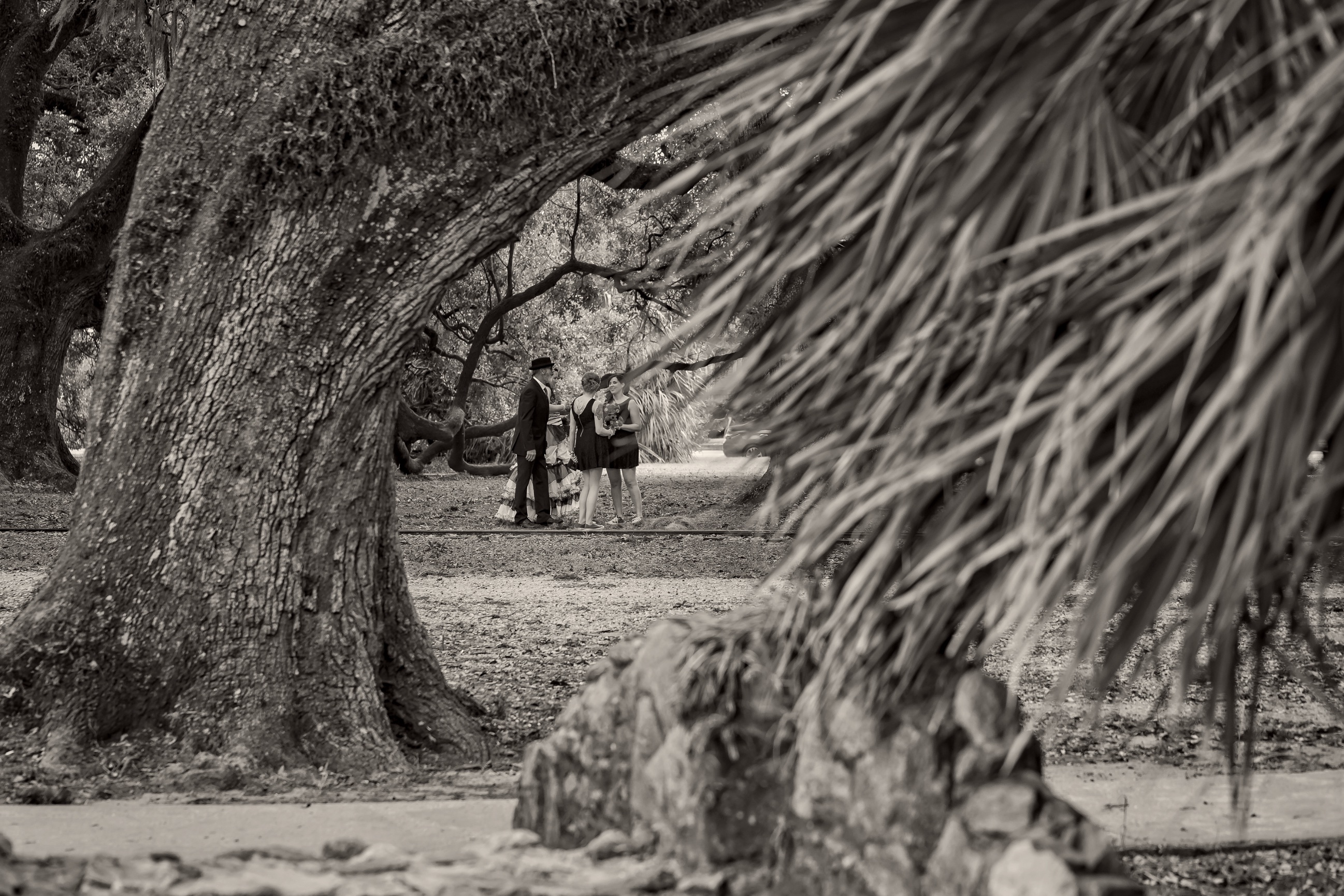 Bloody Mary Voodoo Wedding - Pamela Reed Photography - New Orleans Non ...