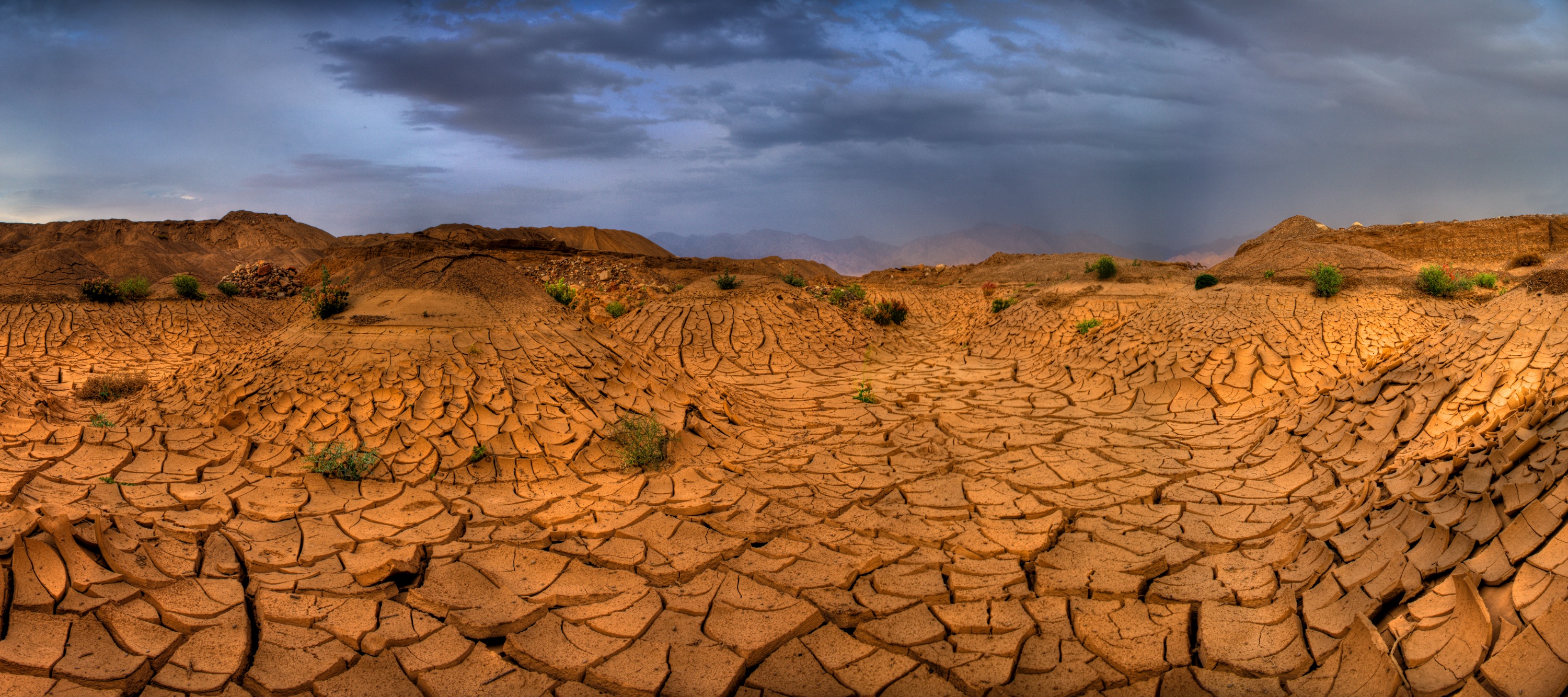 Dry Flood - Kandy Gallery