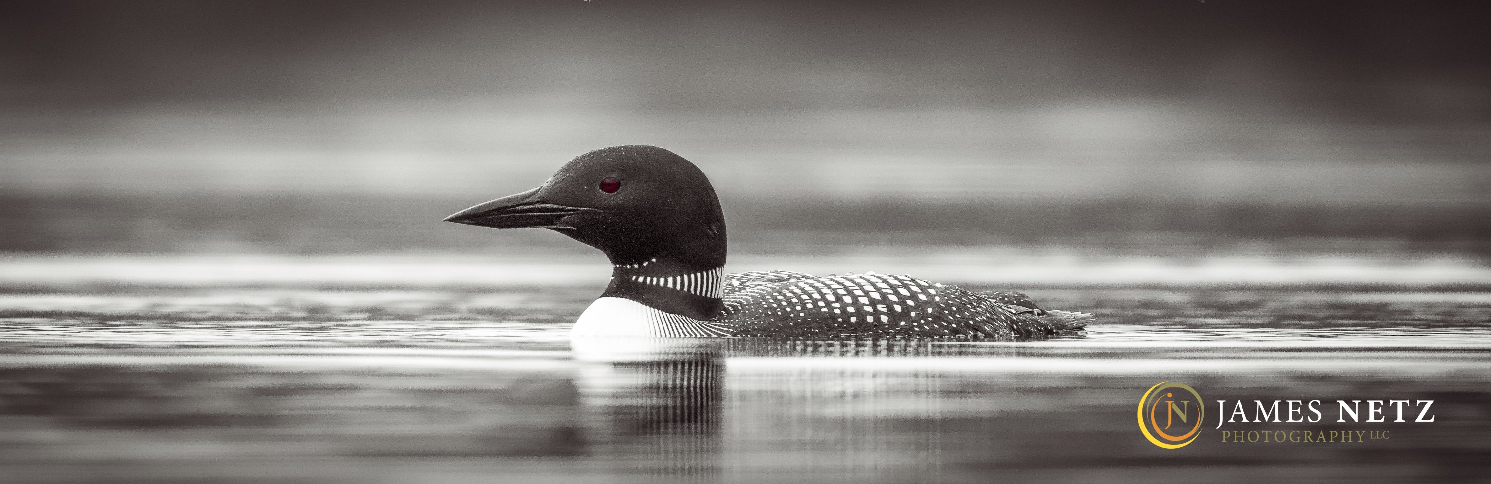 HOME - James Netz Photography