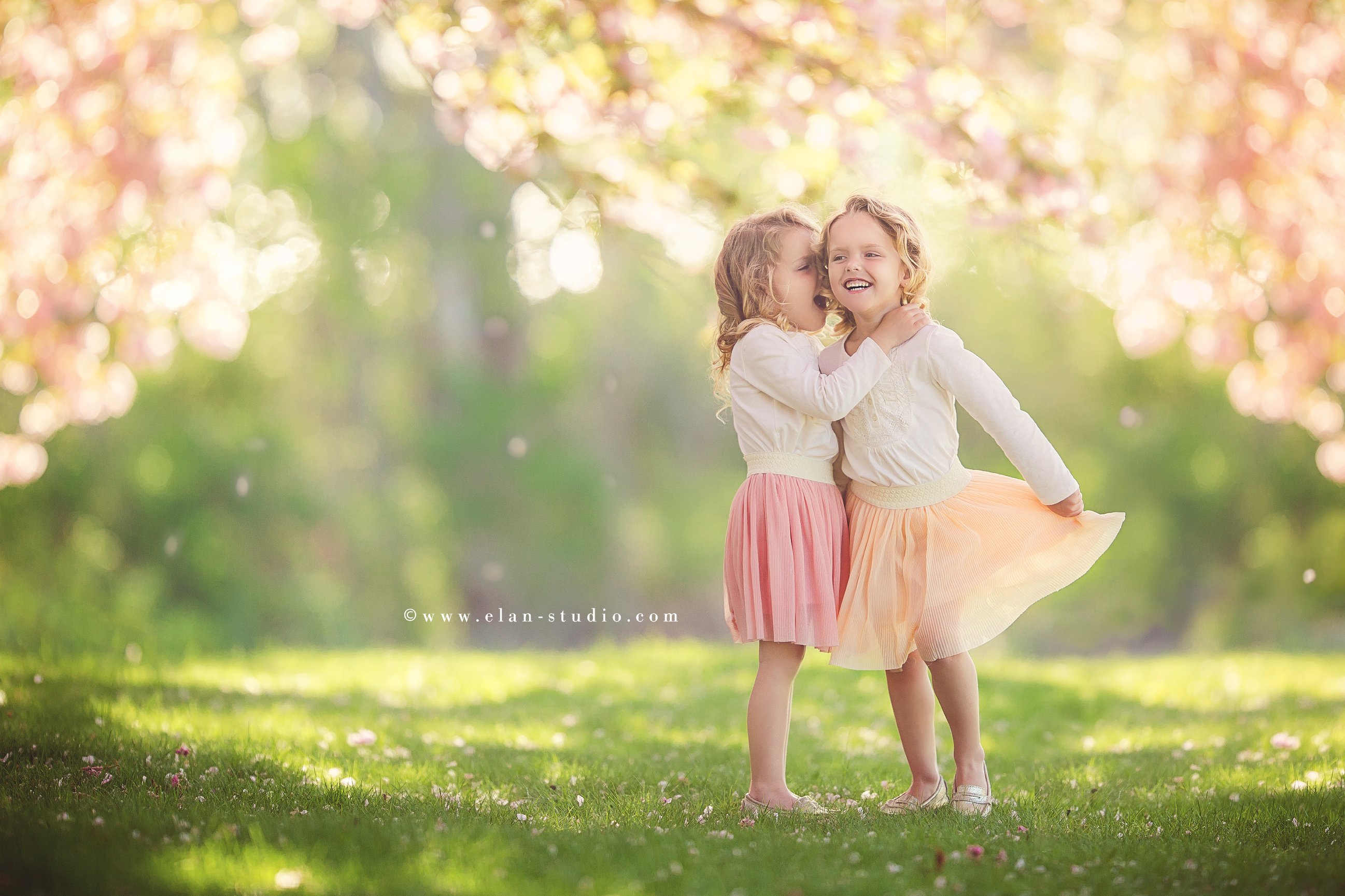 Sibling & Family Portrait & Photography Gallery | Elan Studio
