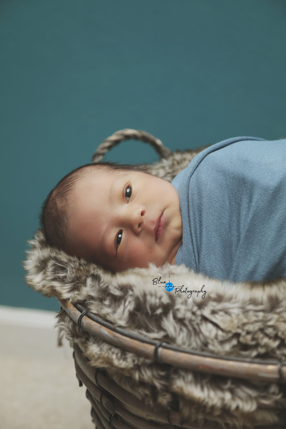 Sneak peek of The Saurs Family Newborn Portraits! - Blue Dot Photography