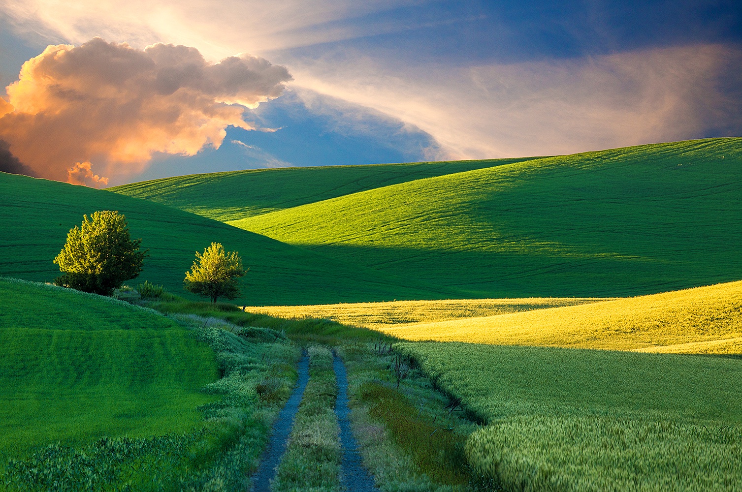 Palouse - Jim Zuckerman photography & photo tours