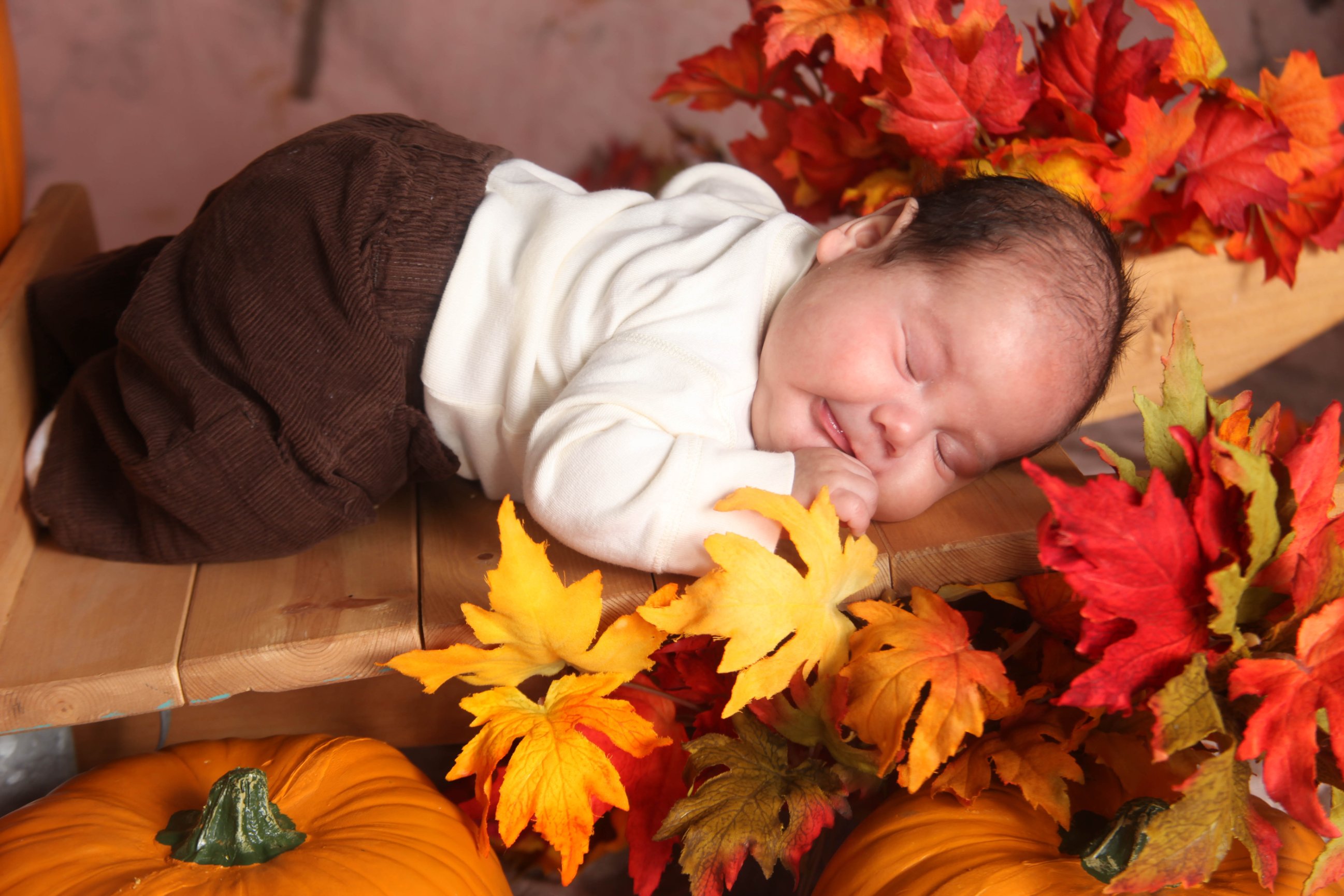 HOME - Timeless Expressions