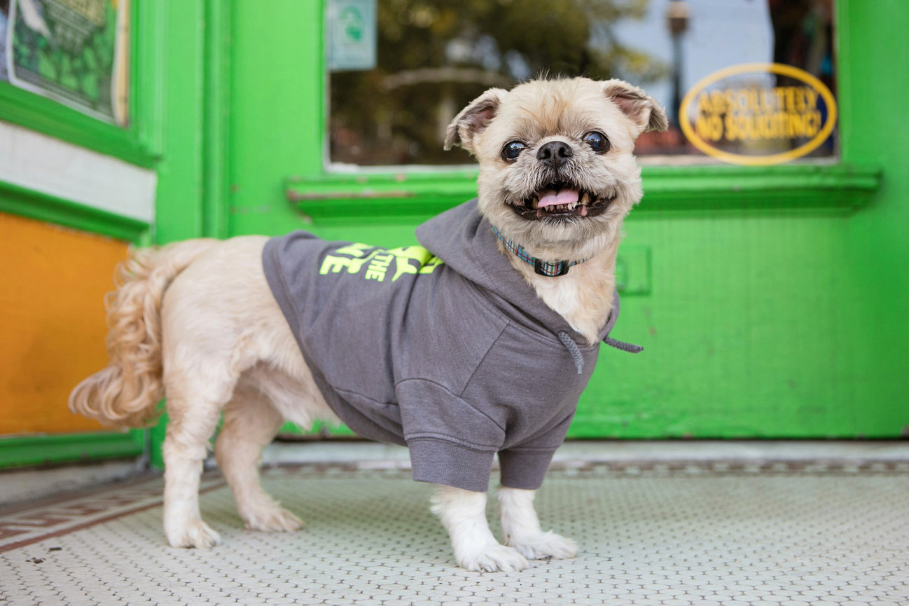 Contact Us - Lisa Ward