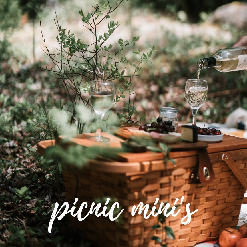 Picnic Mini Session - Kim Kirker Photography