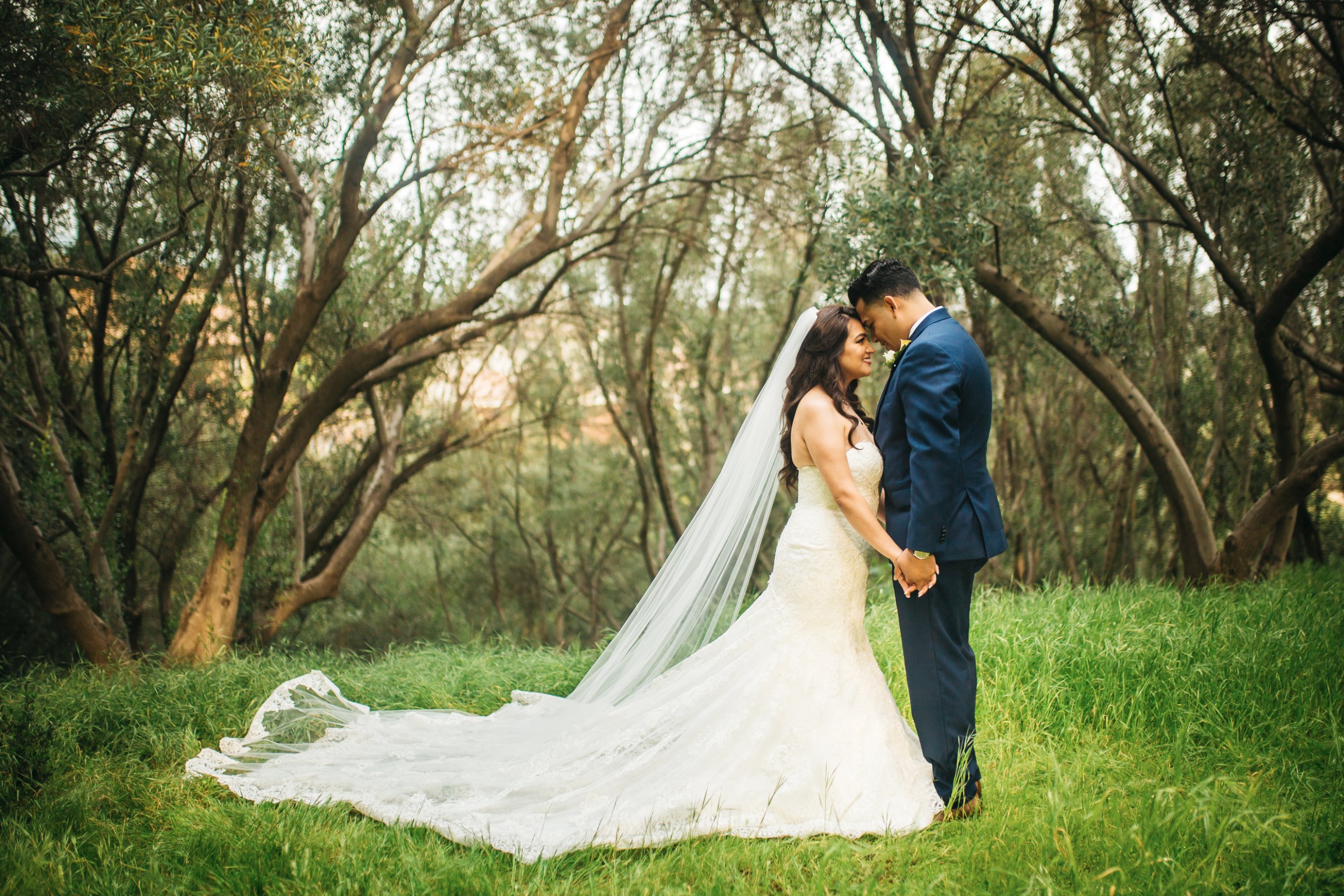 Collective Perception Photography