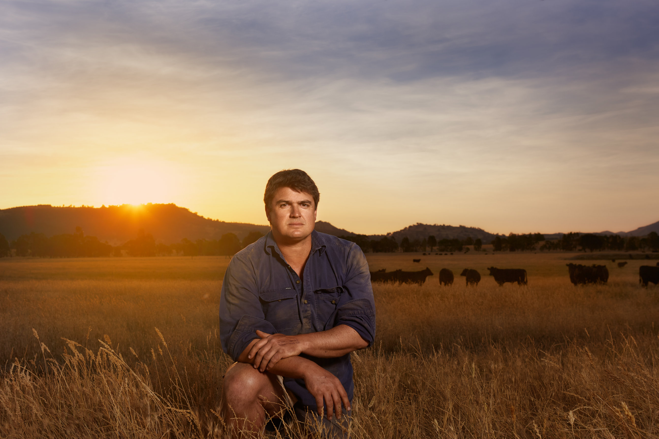 Book a Farm Photo Shoot - sandra lee photography