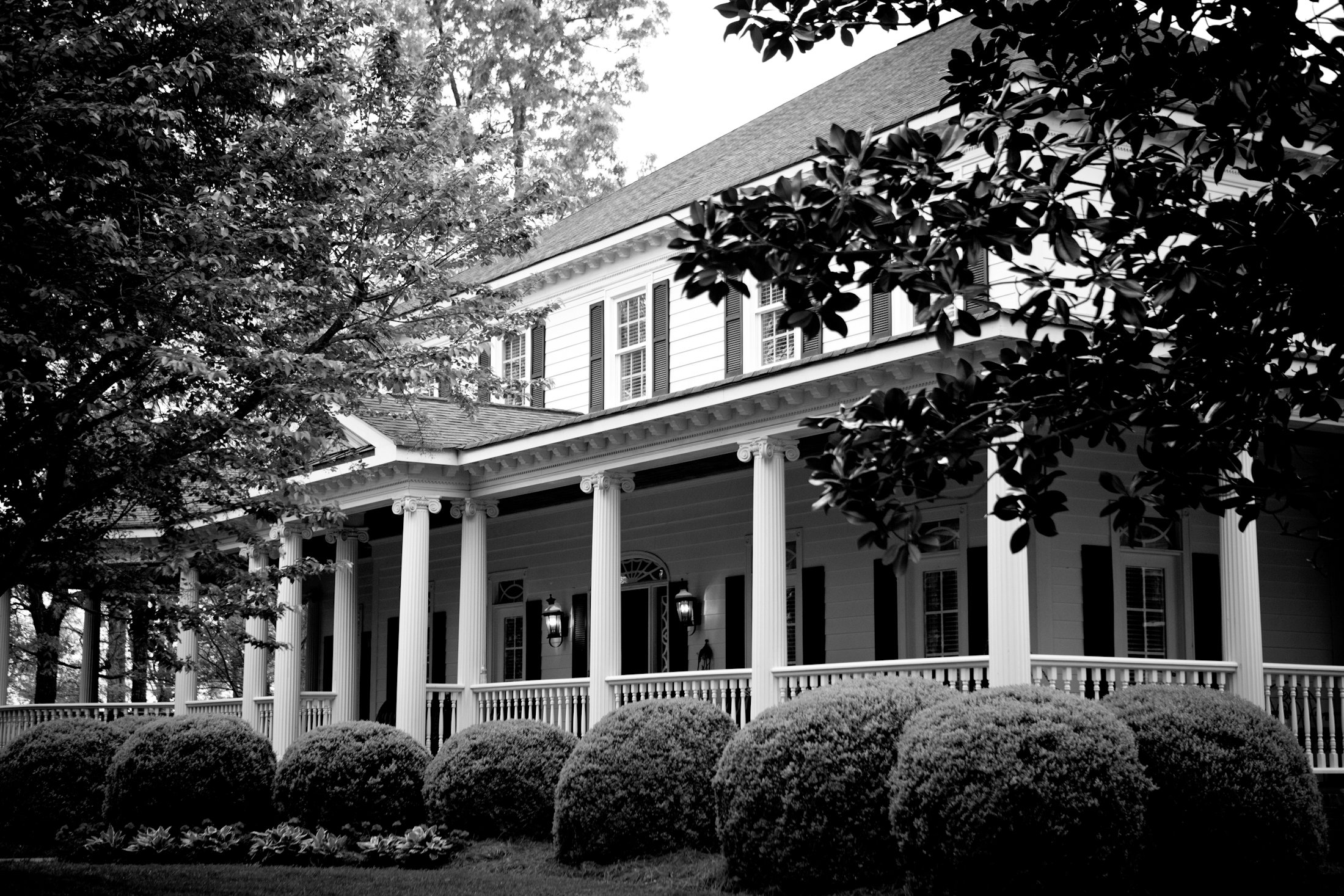 HOME - The Saratoga Springs