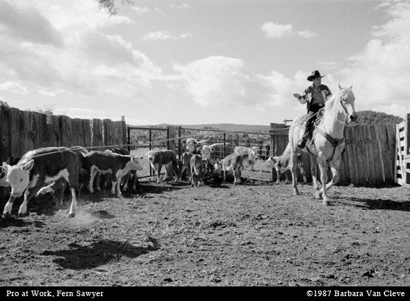 Pro at Work, Fern Sawyer - Barbara P Van Cleve