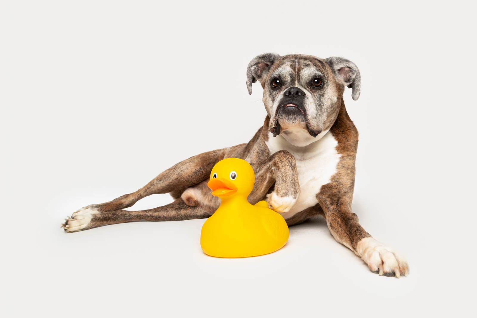 Major & Richard Save Them - Brian Batista Photography