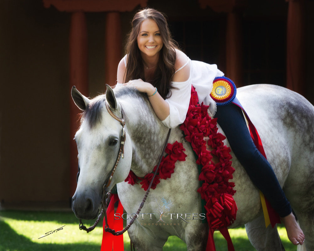 Videos on Demand - Scott Trees Photography