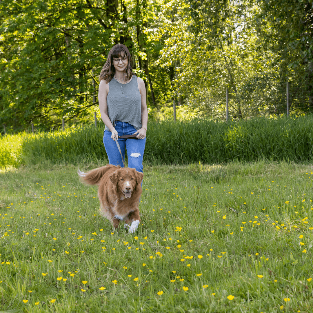 5 Must Know Tips For First Time Dog Owners Port Coquitlam BC Pet 5-must-know-tips-for-first-time-dog-owners-port-coquitlam-bc-pet