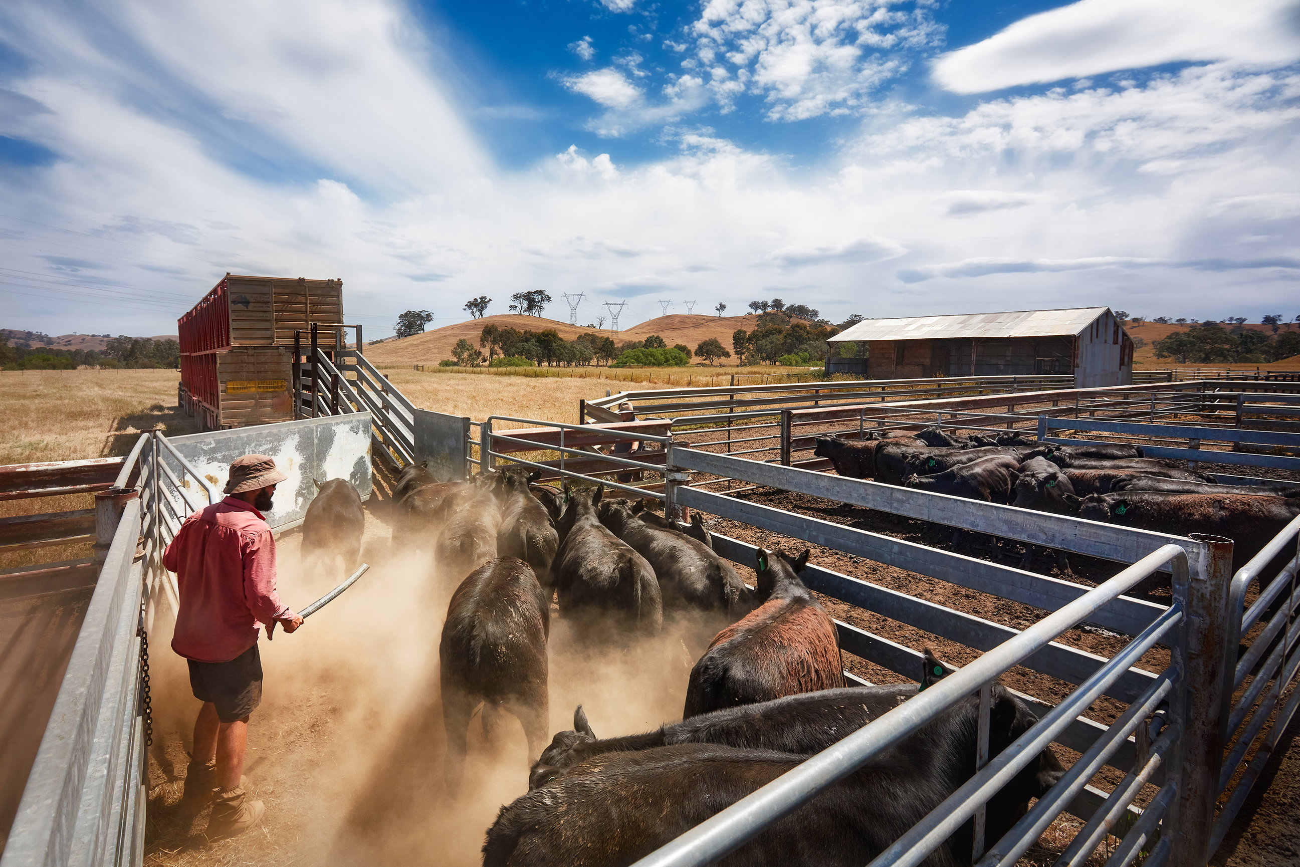 Mansfield Farm Project - Online Photography Exhibition
