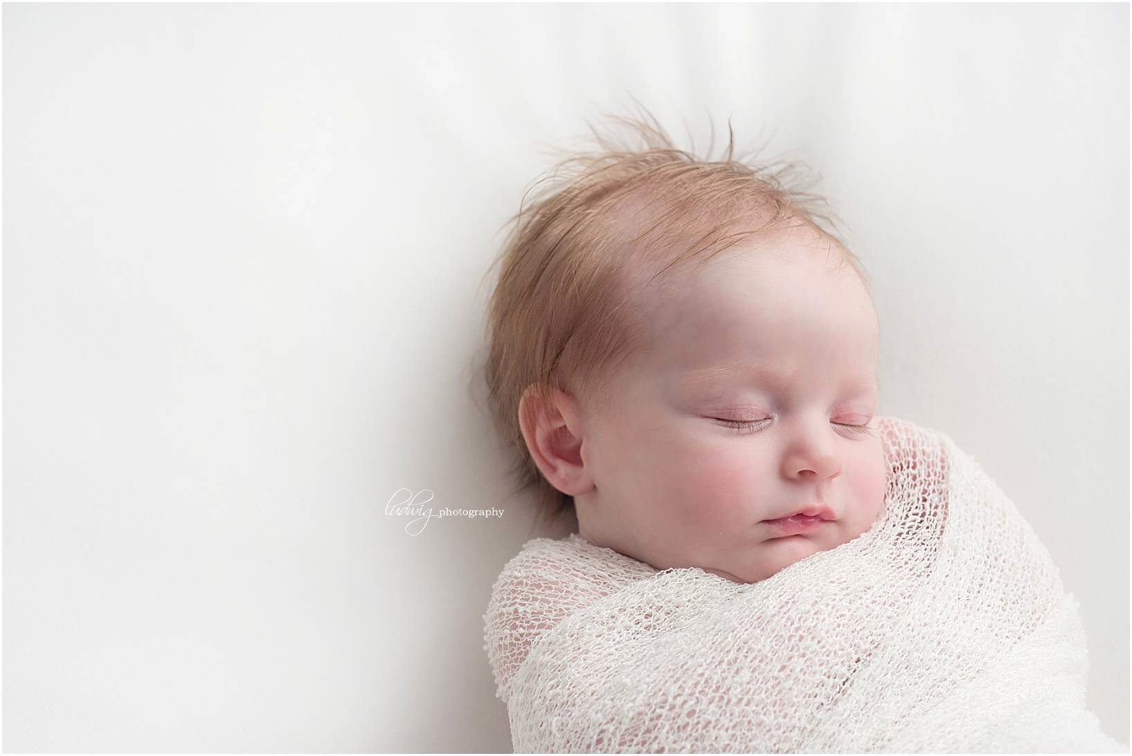 7 weeks old baby girl portrait session - Ludwig Photography