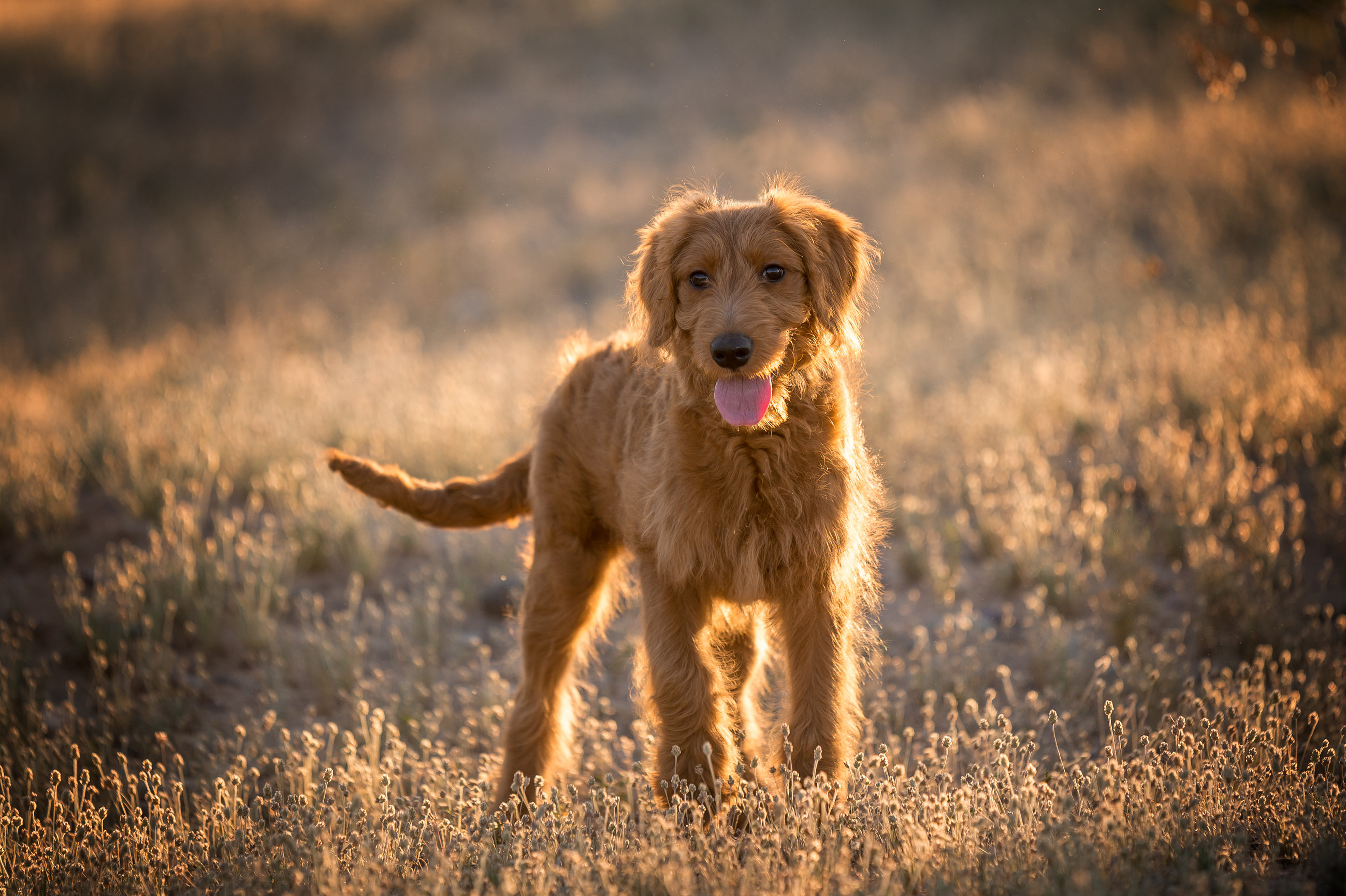 HOME - Ryan Ritter Photography