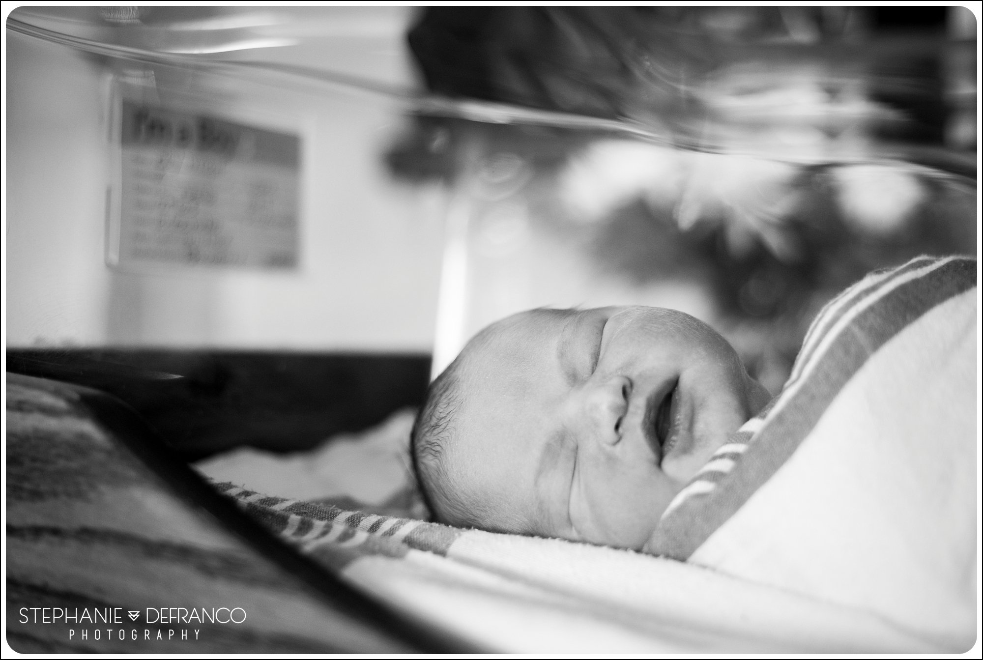 Declan Owen - Stephanie DeFranco Photography