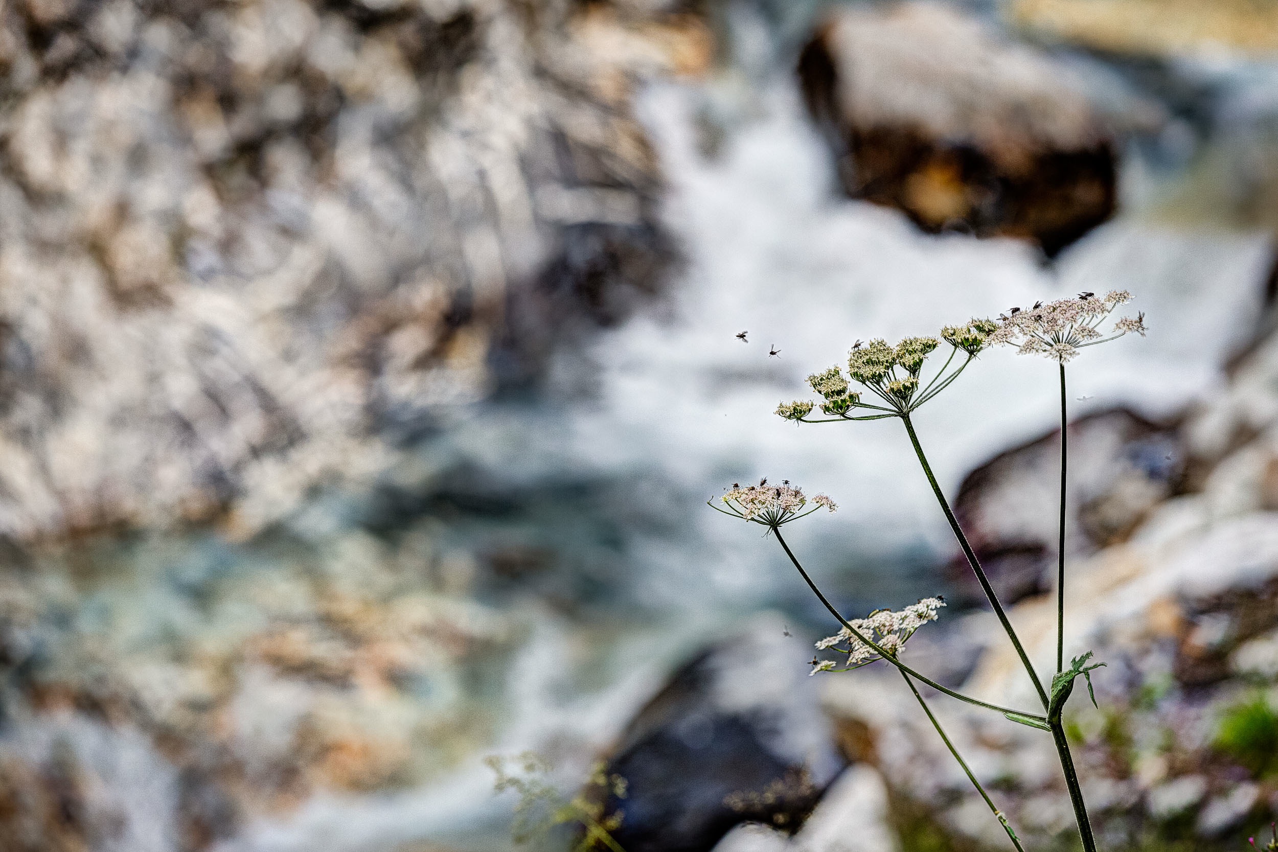 LANDSCAPES - Emo Photo