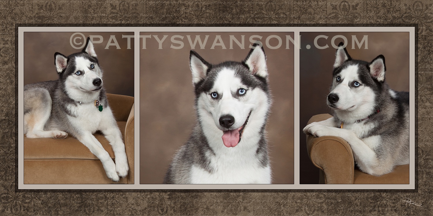 HOME - Patty Swanson Photography