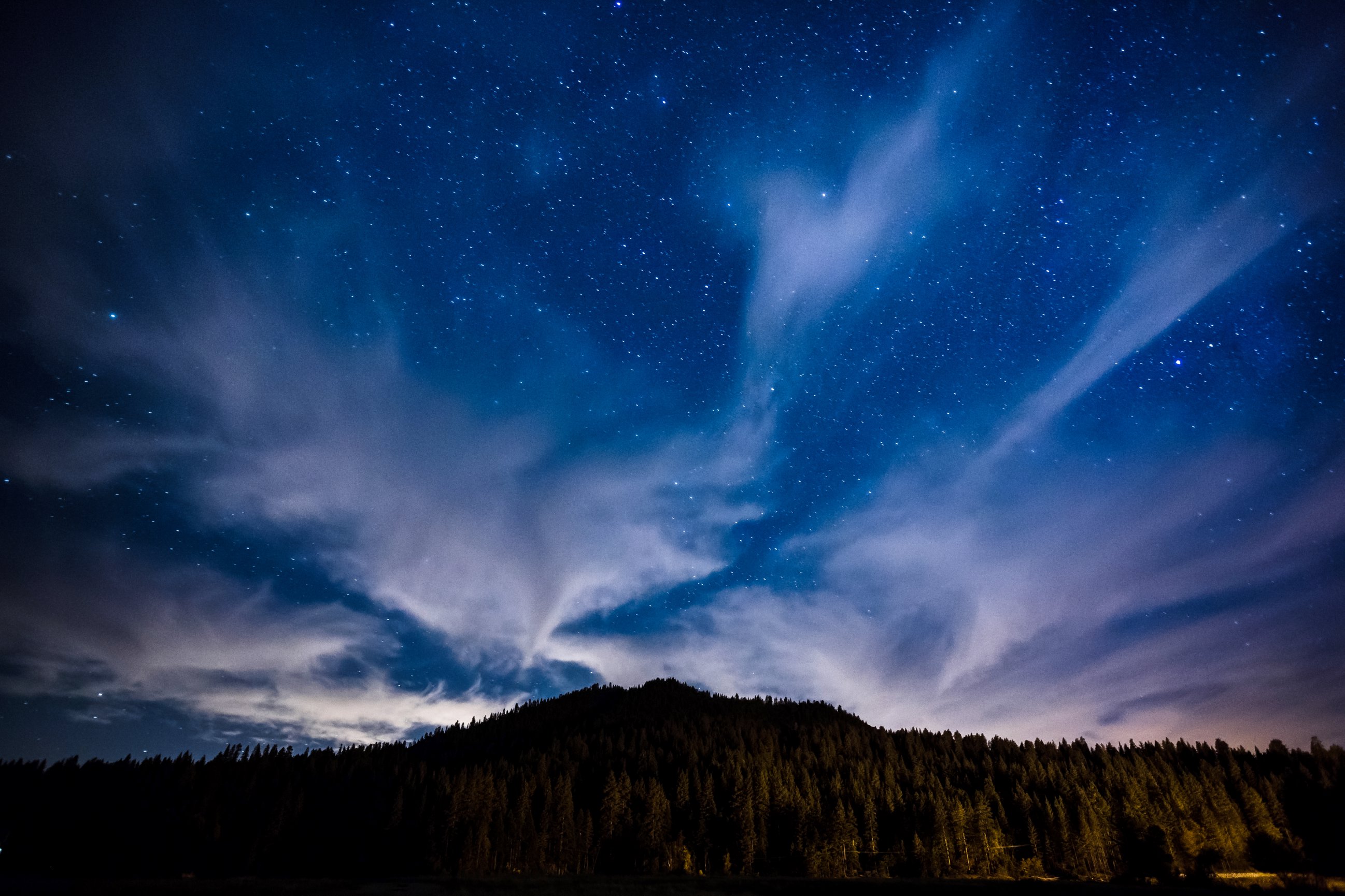 Nature - Collective Perception Photography