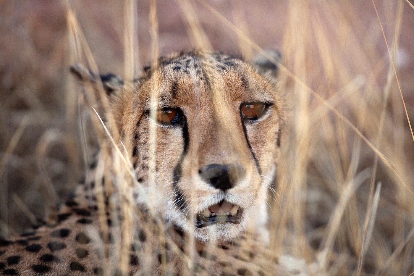 Focus challenges - Jim Zuckerman photography & photo tours