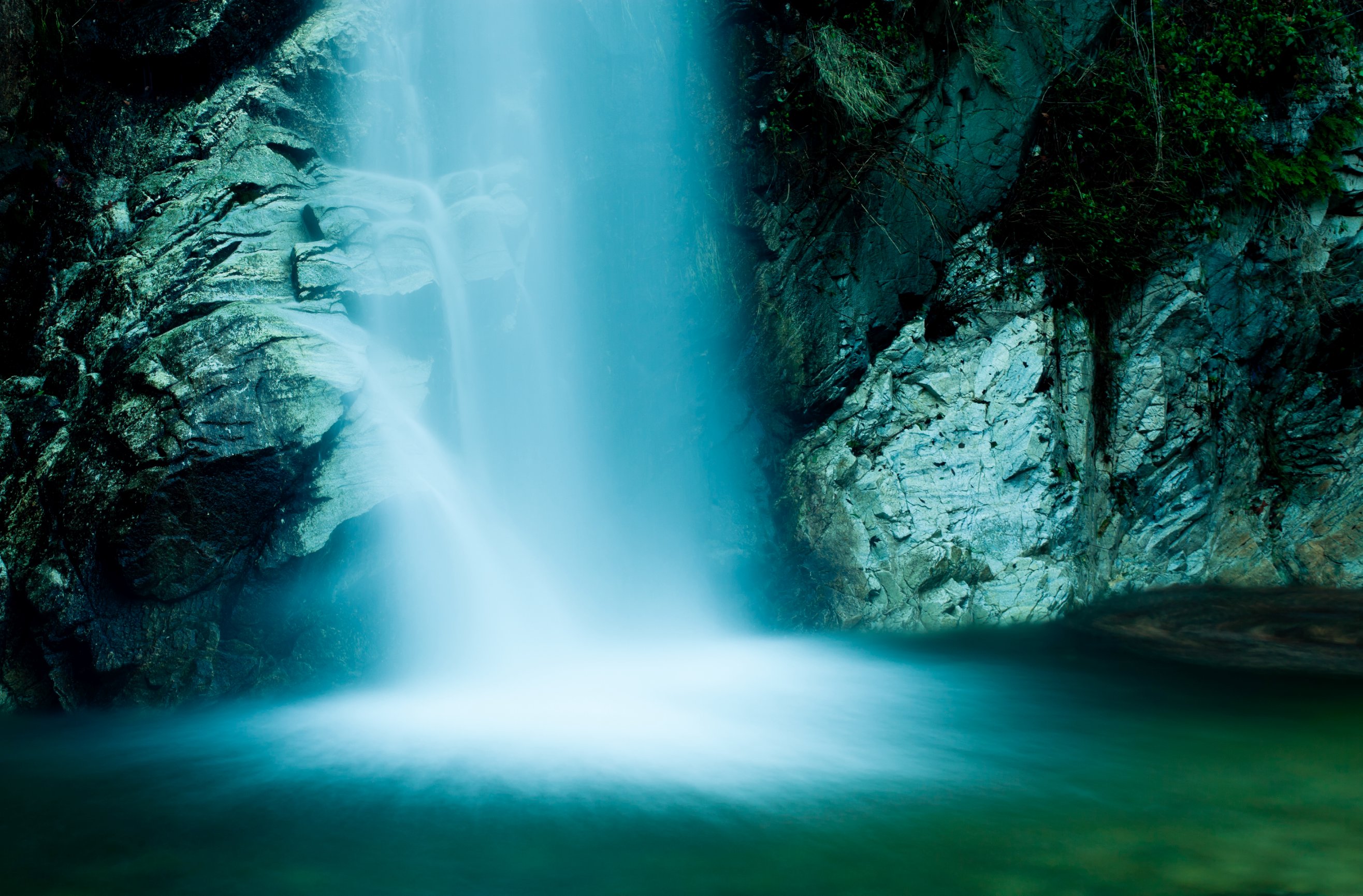 Nature - Collective Perception Photography