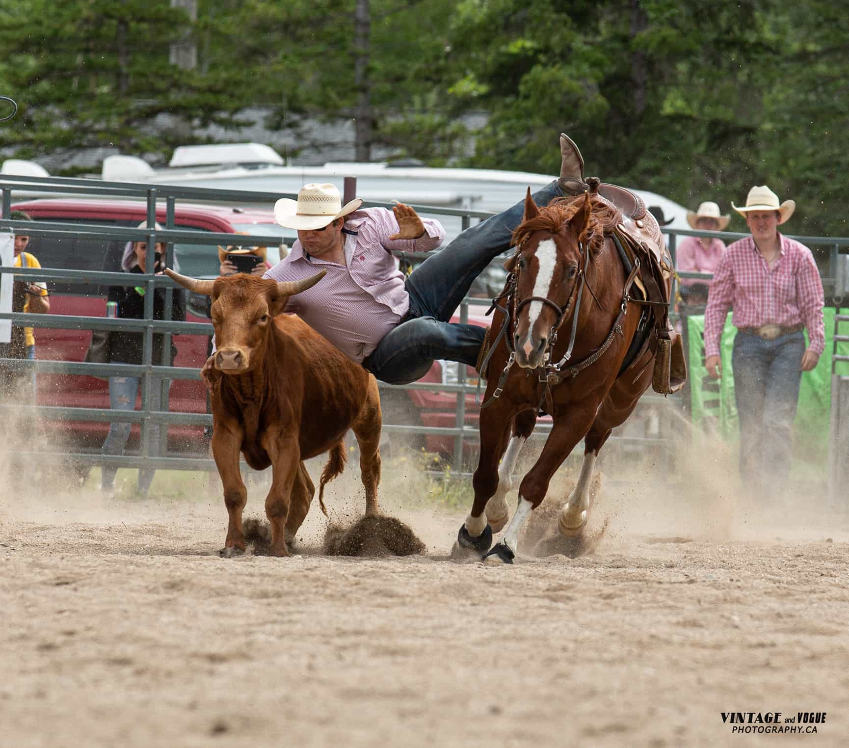 Wild Manitoba Rodeo Event Photography