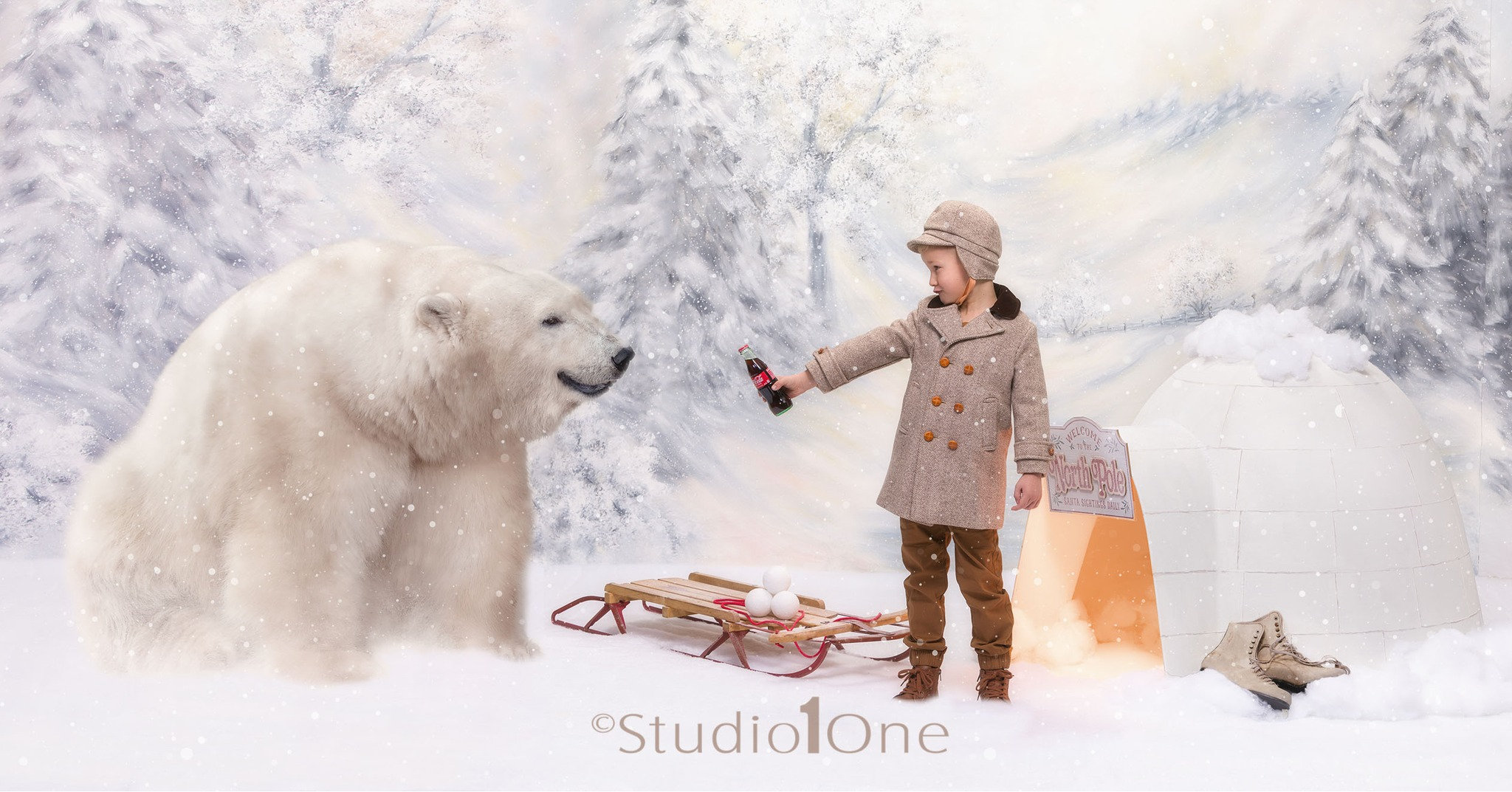 Polar Special Information - Studio One Photography