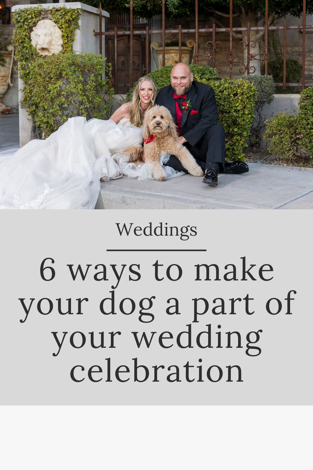 Puppy Love: Tips for incorporating your dog into your wedding for ...