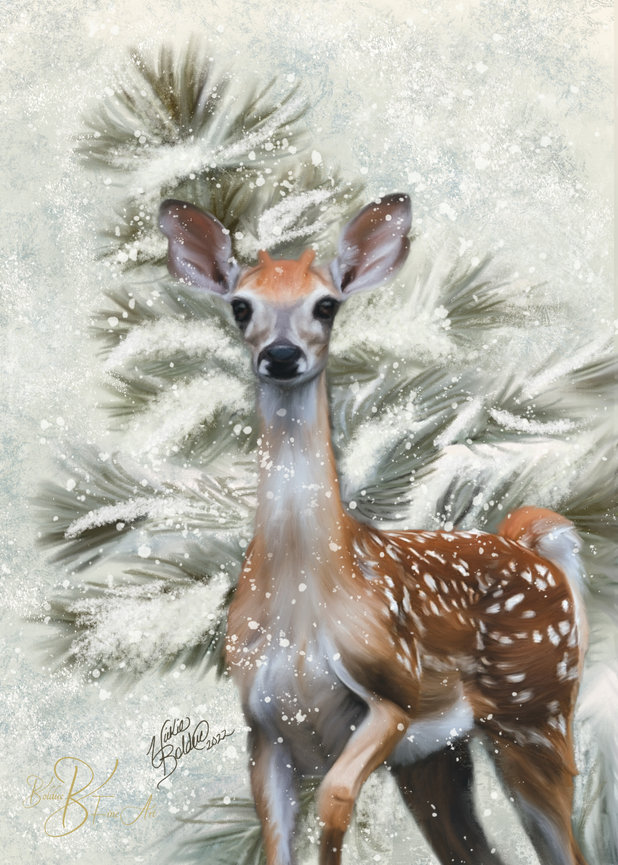 BLOG - Jeffrey A Bolduc