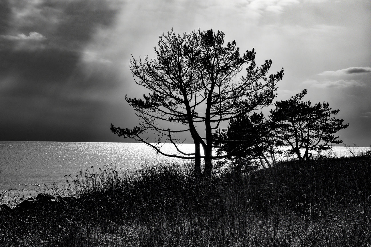 ABOUT - Michael M Luzzi