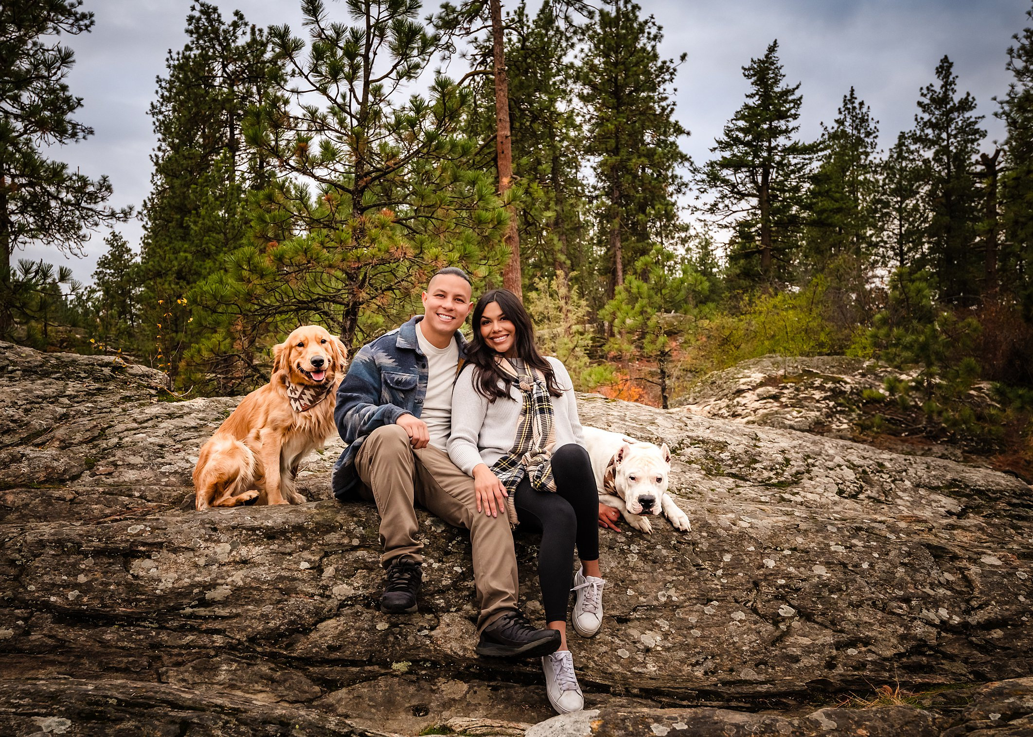 Killua The Cover Dog - Furever Photography