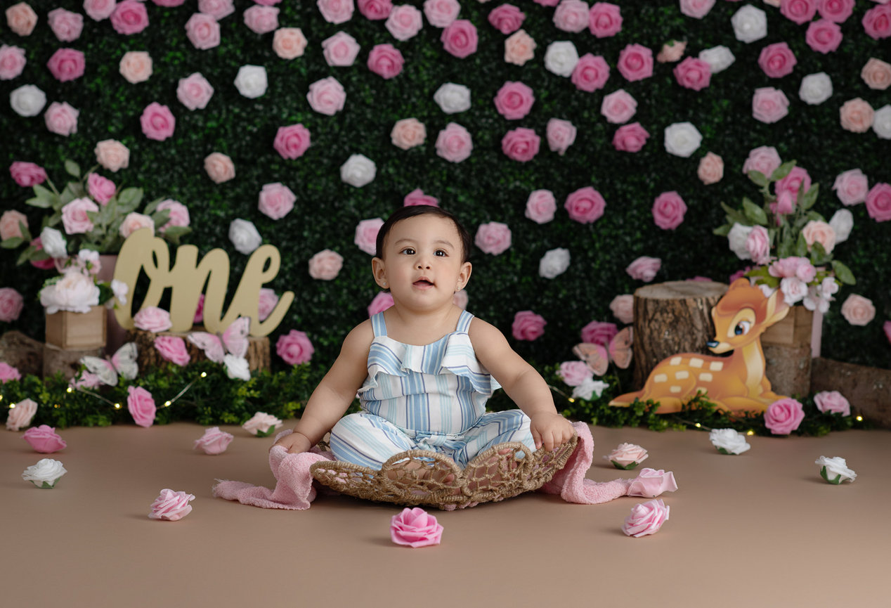 Bambi Themed Cake Smash Session / Attleboro Photographer - Jenee Cook ...