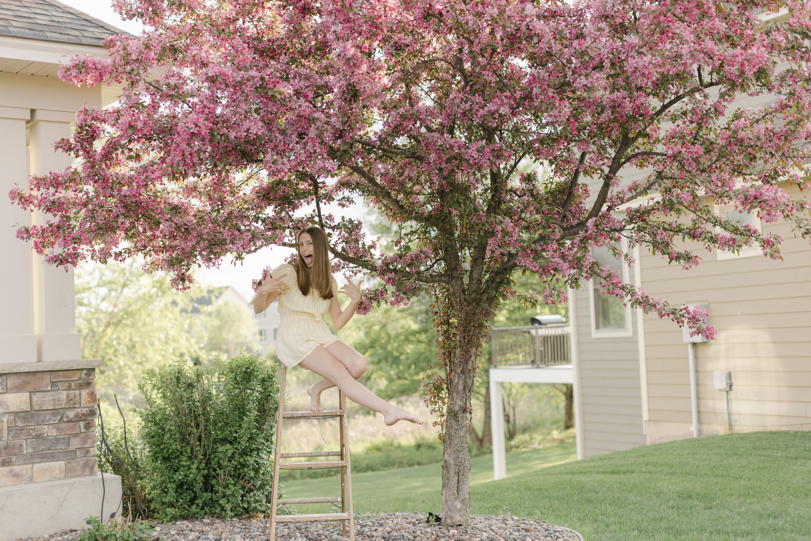 Spring Photo Sessions in Your Front Yard -Capture the Magic of Blooming ...