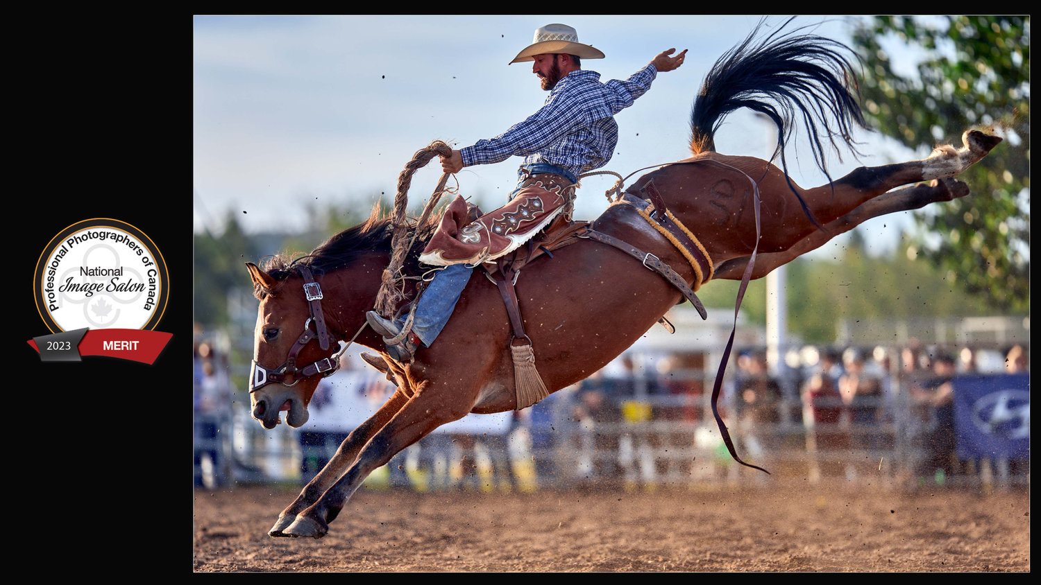 I don’t consider myself a “commercial photographer”....