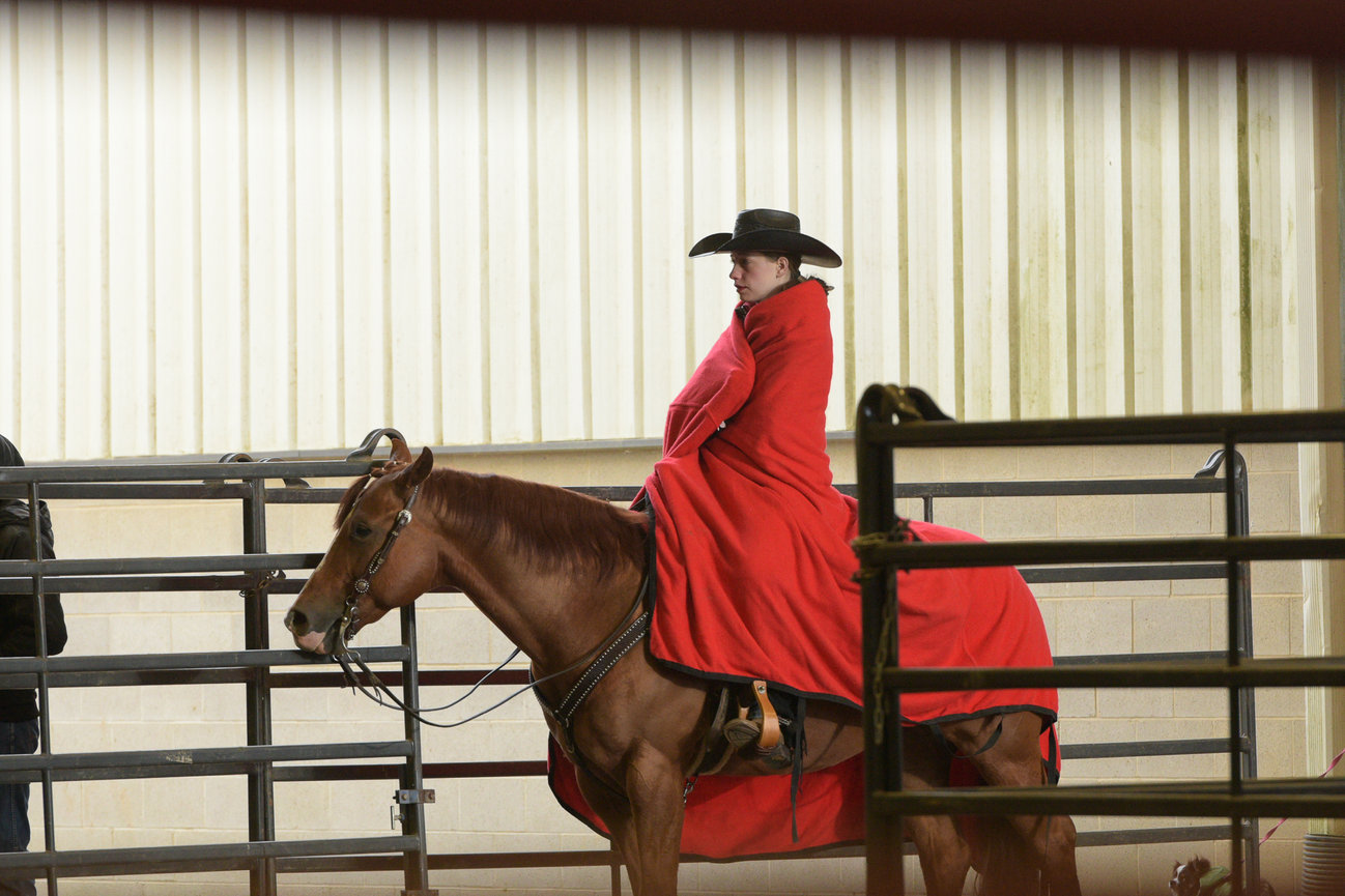 Blog - Elaina Eppinger