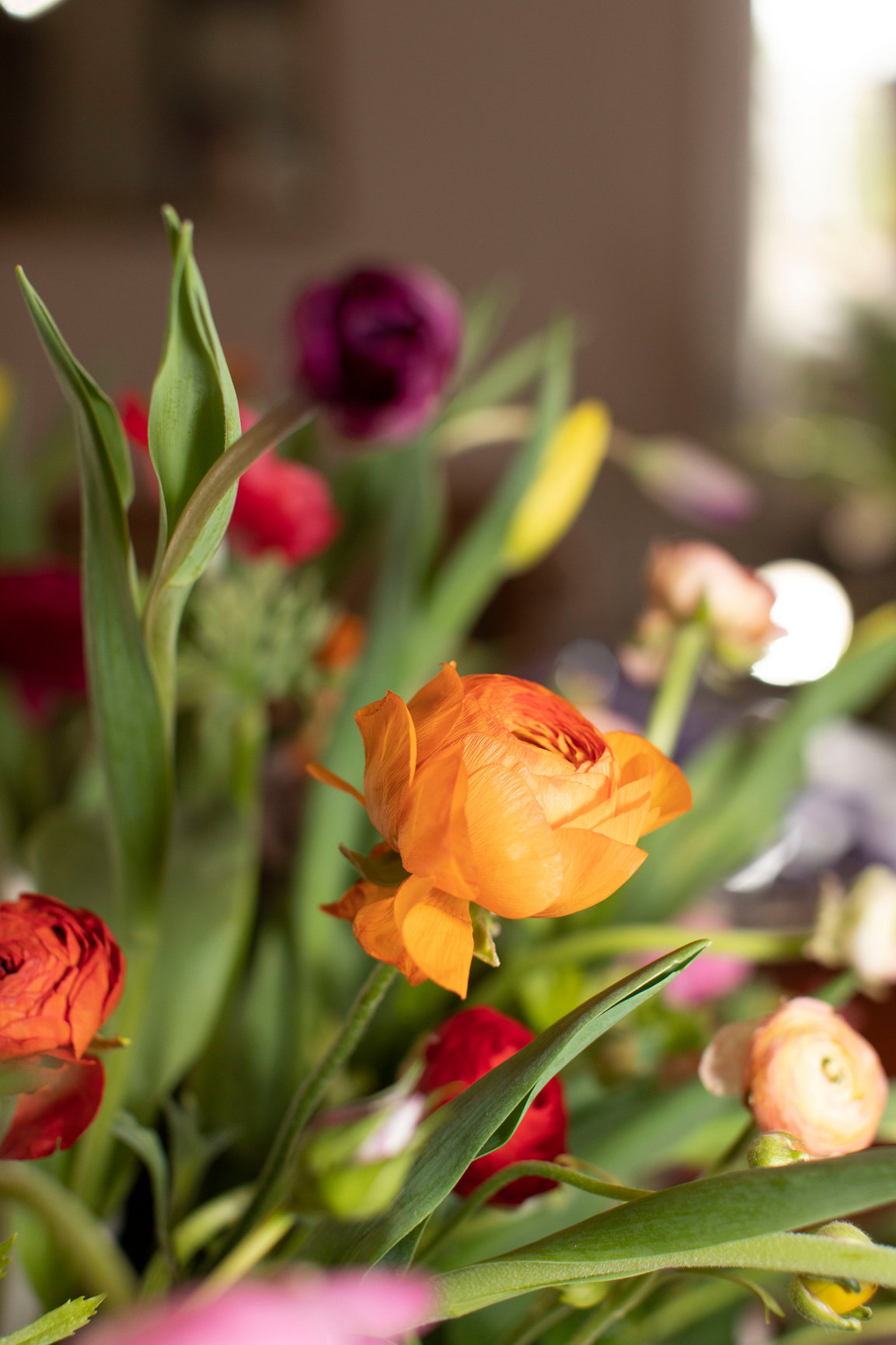 Sarah Blakely & Paul - Erin Daniel Photography, LLC