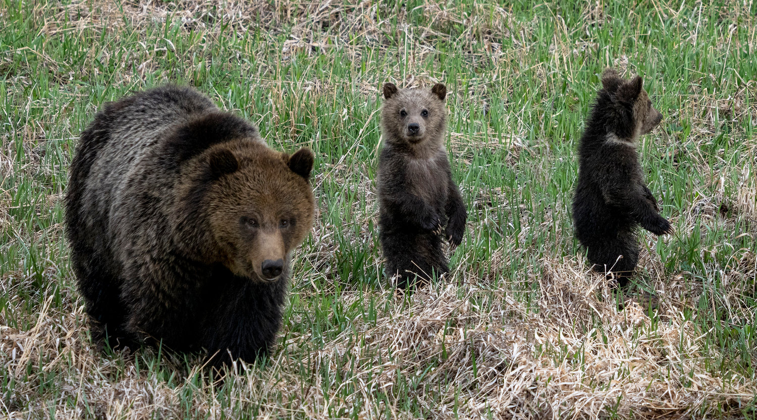 Nature Exposed Tours