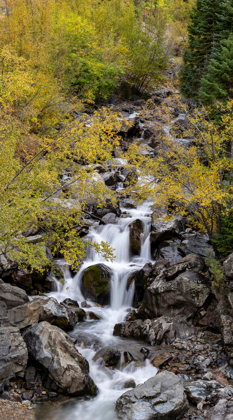 Colorado in the Fall - Nature Exposed Tours