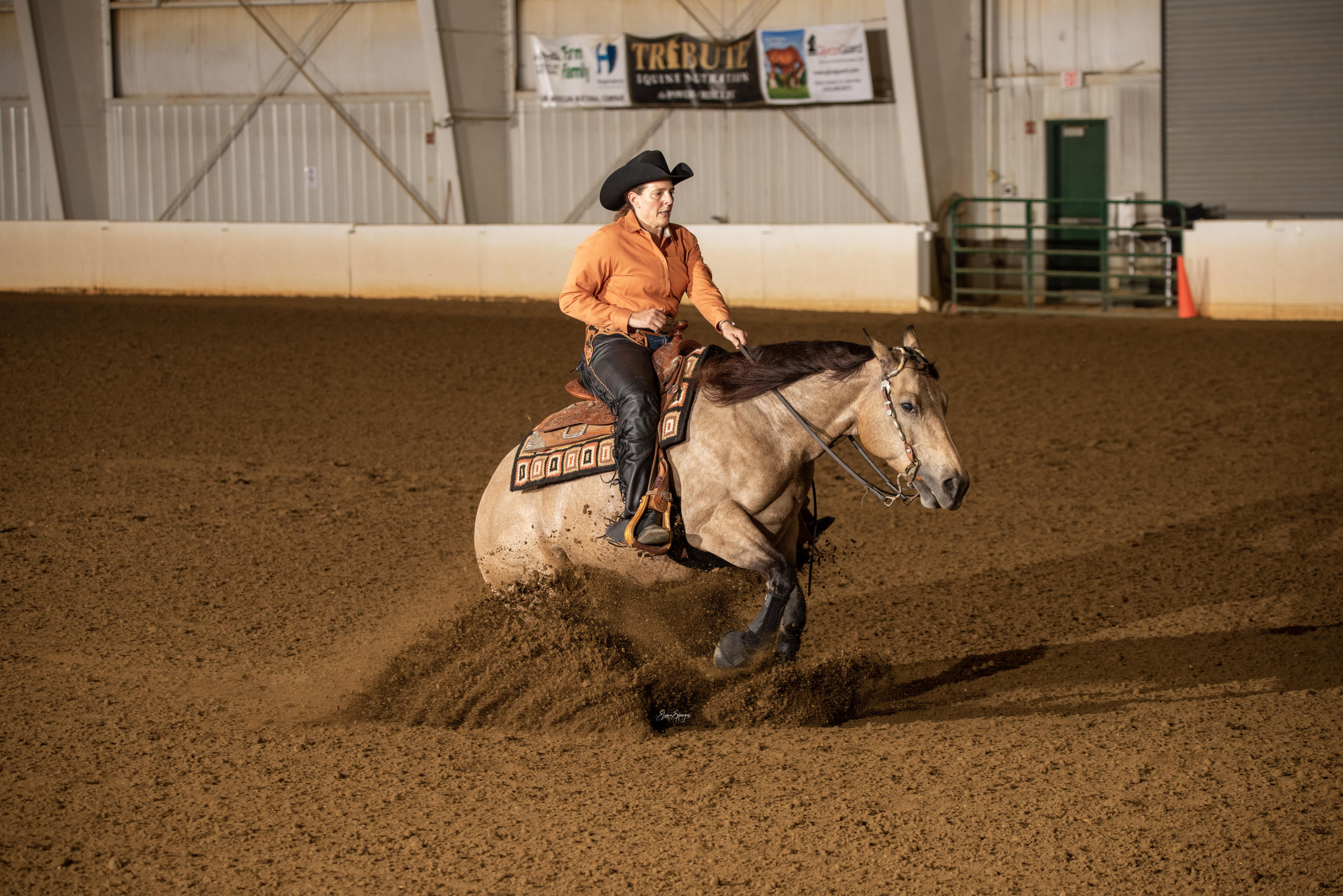 Wedding and Horse Show Photographer in Butler PA - Elaina Eppinger