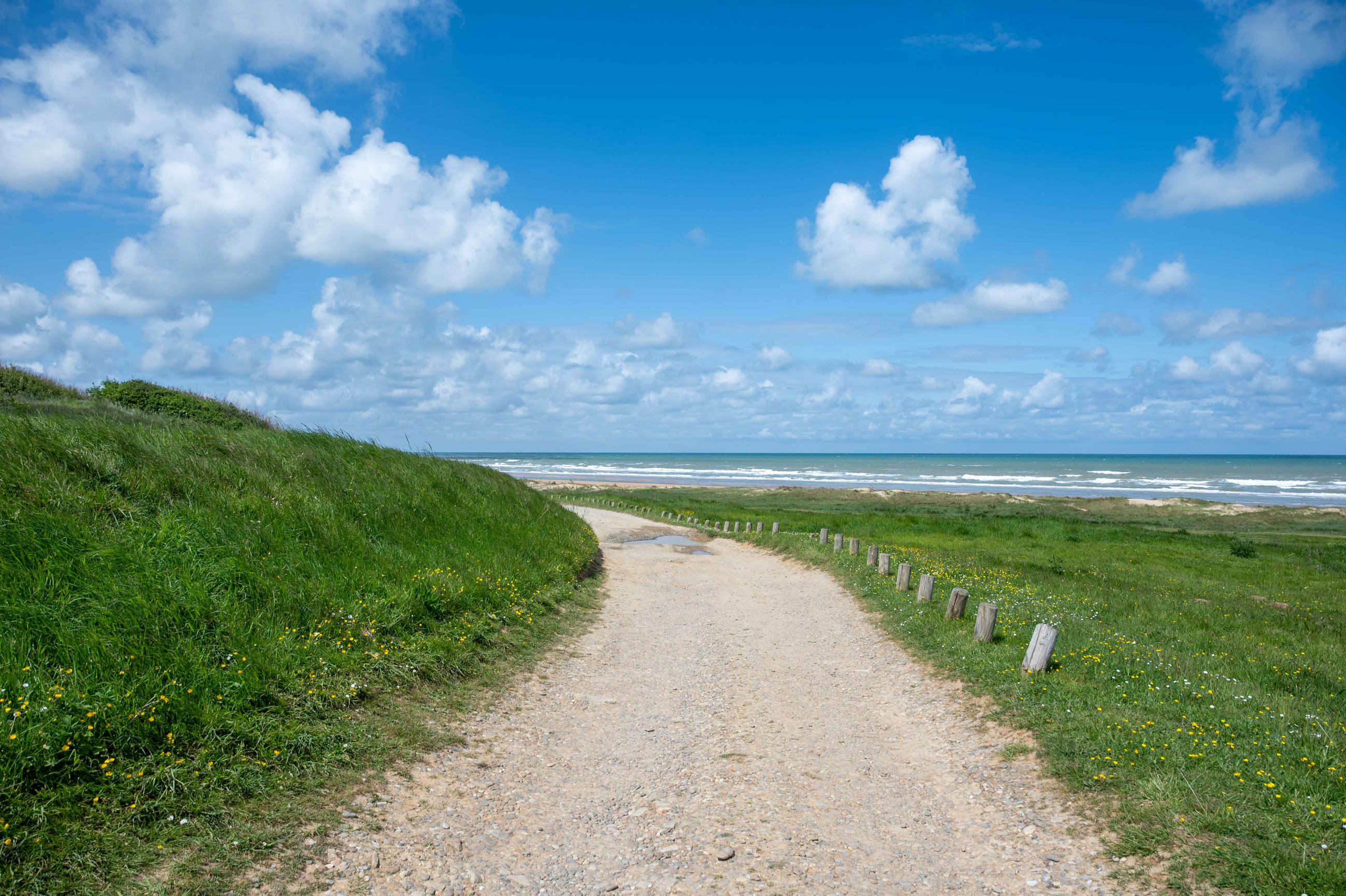 Reflecting on Normandy