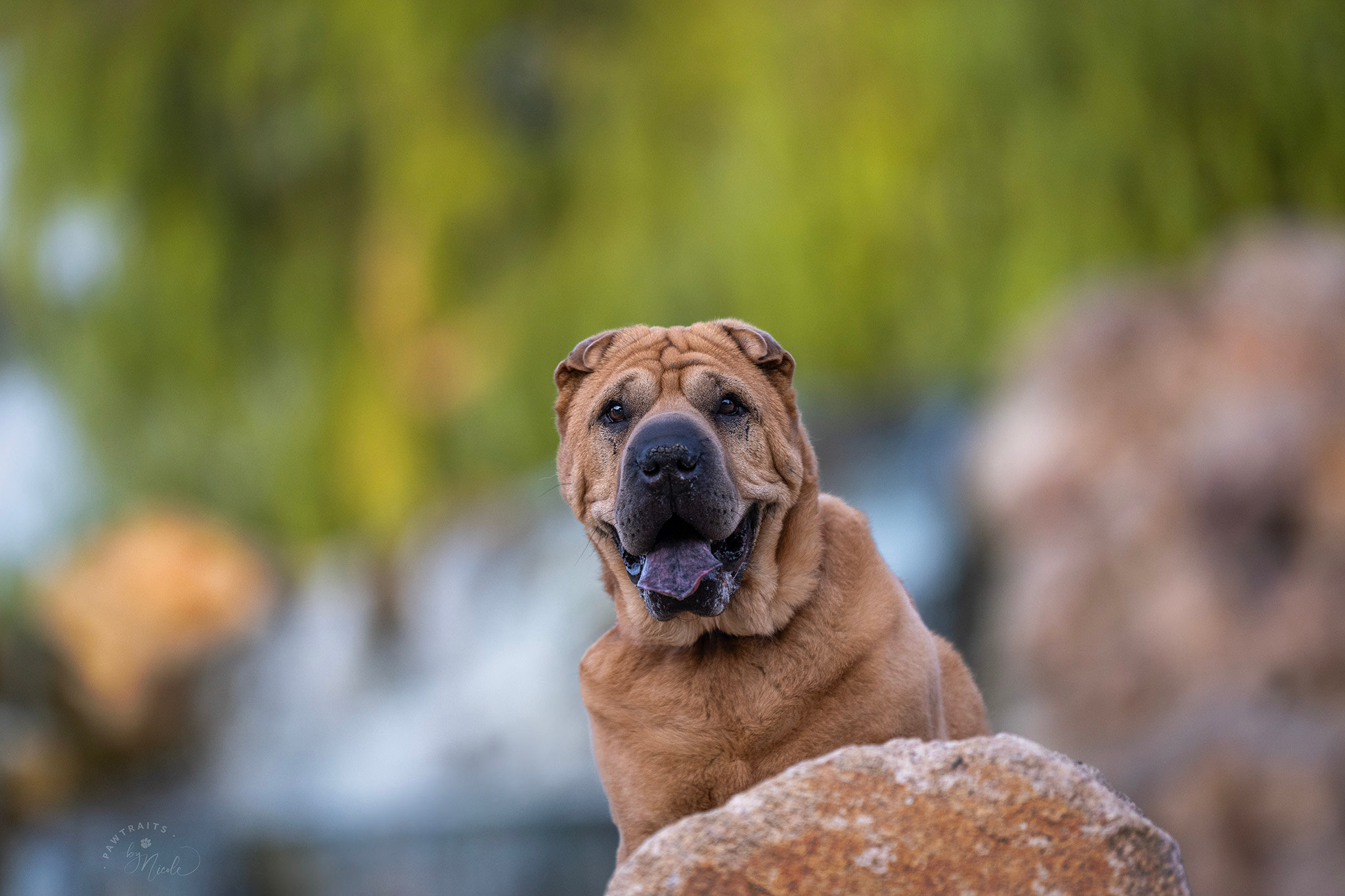 Aliante Nature Discovery Park