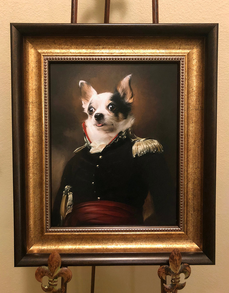 Painted Pet Portraits - Jen Alvi